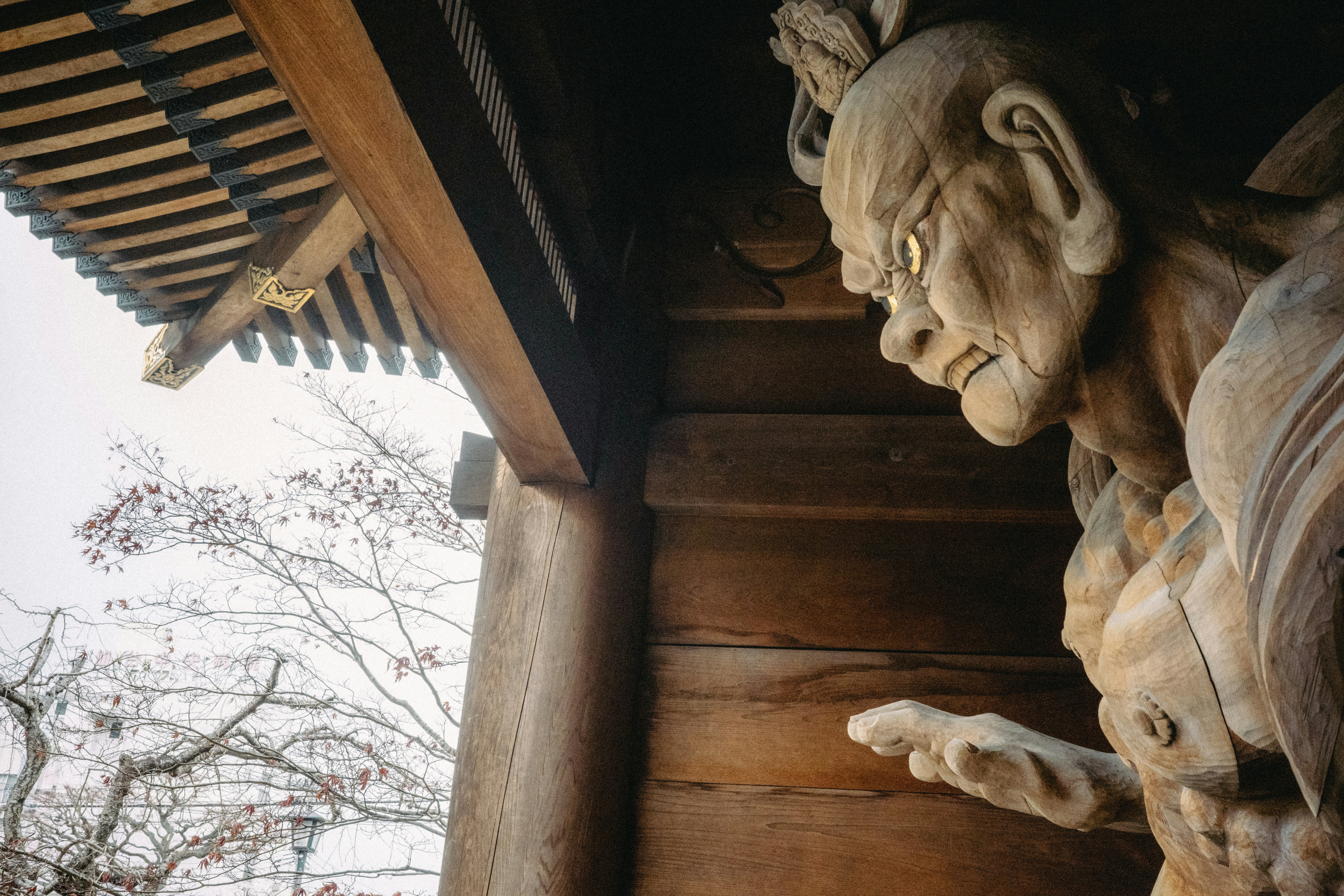 Stone Guardian in Shade: A Quiet Moment at the Temple Threshold