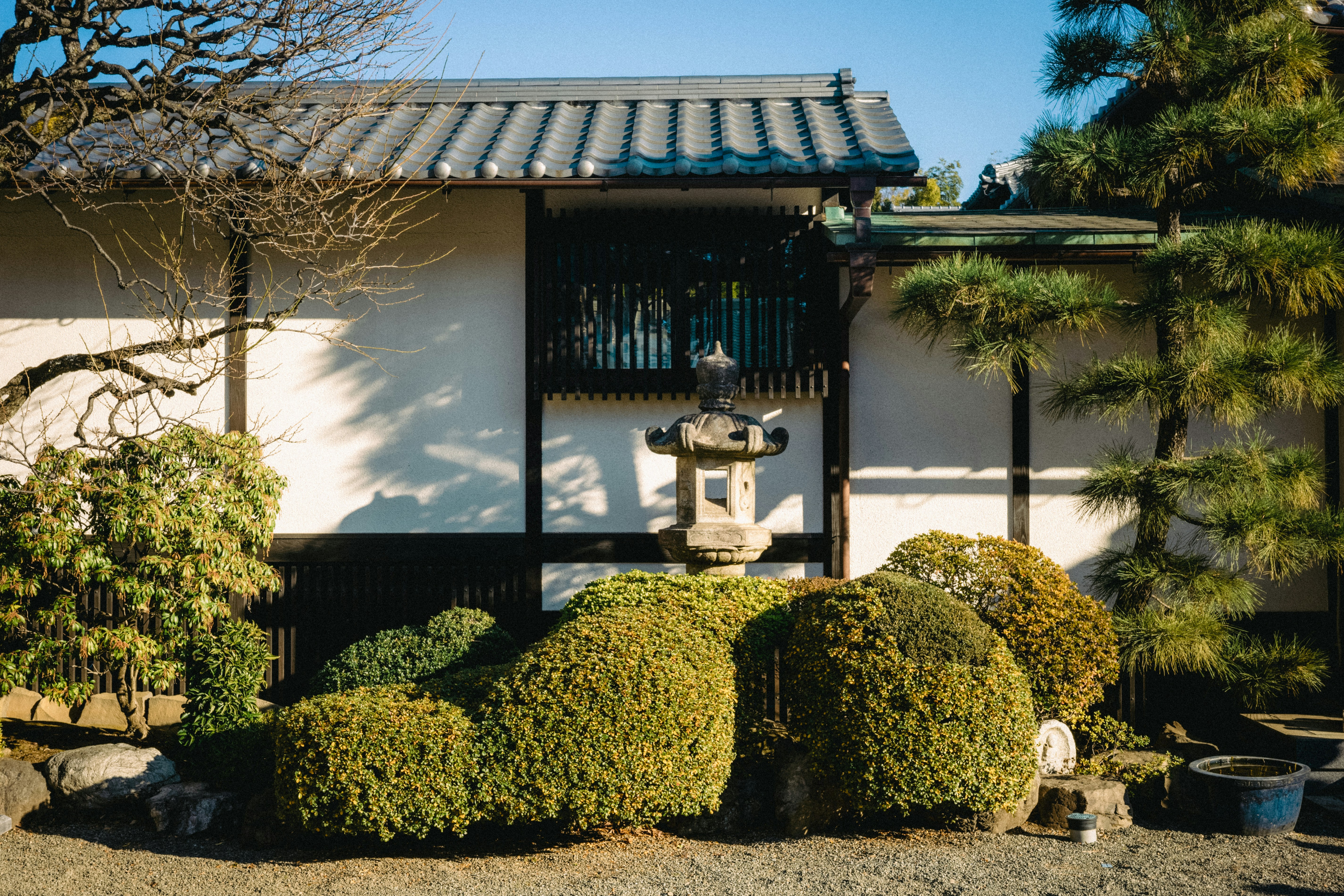 Serene Japanese Garden Lantern Framed by Pruned Shrubs