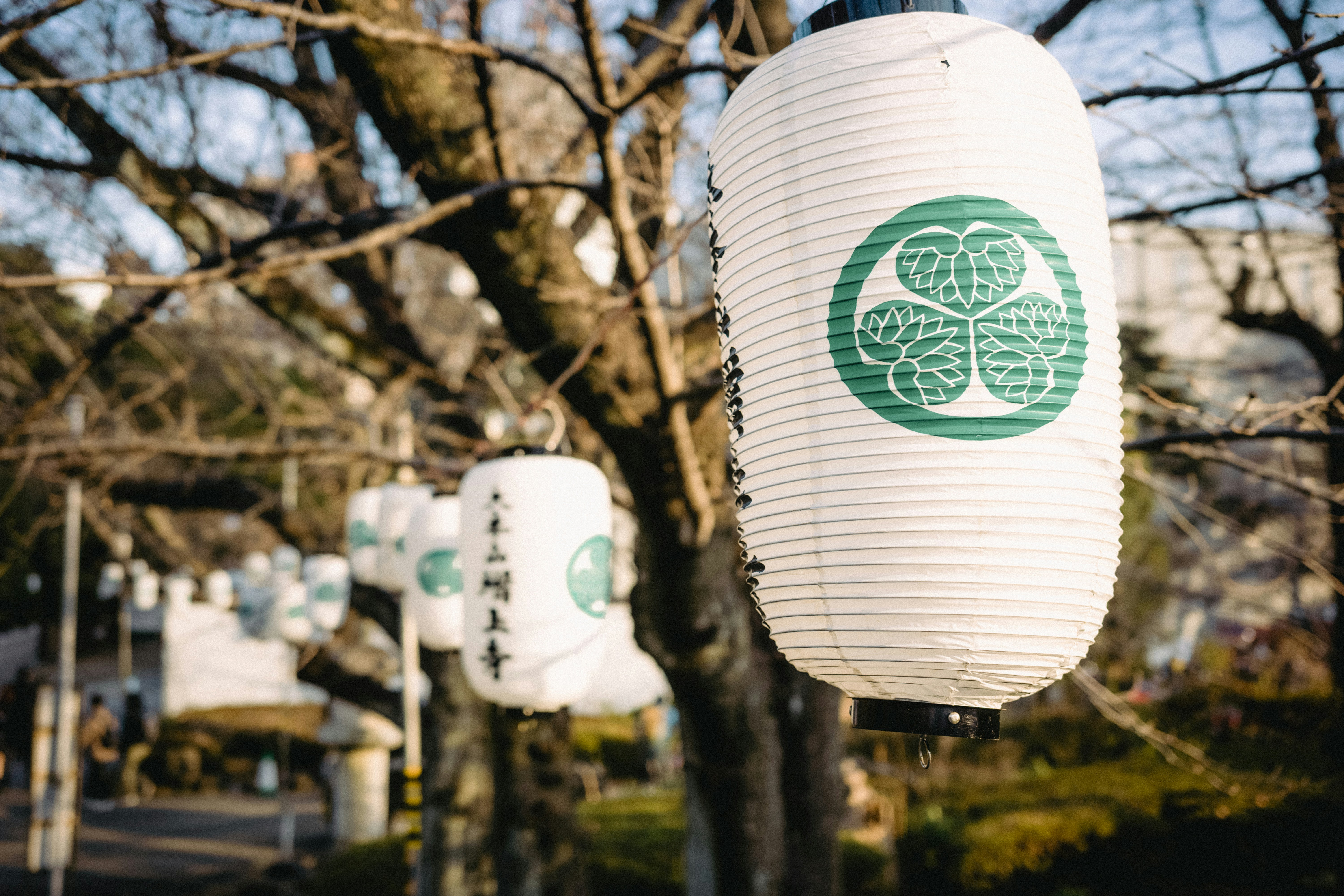 Lanterns in a Quiet Garden: Green Emblems on Soft Light