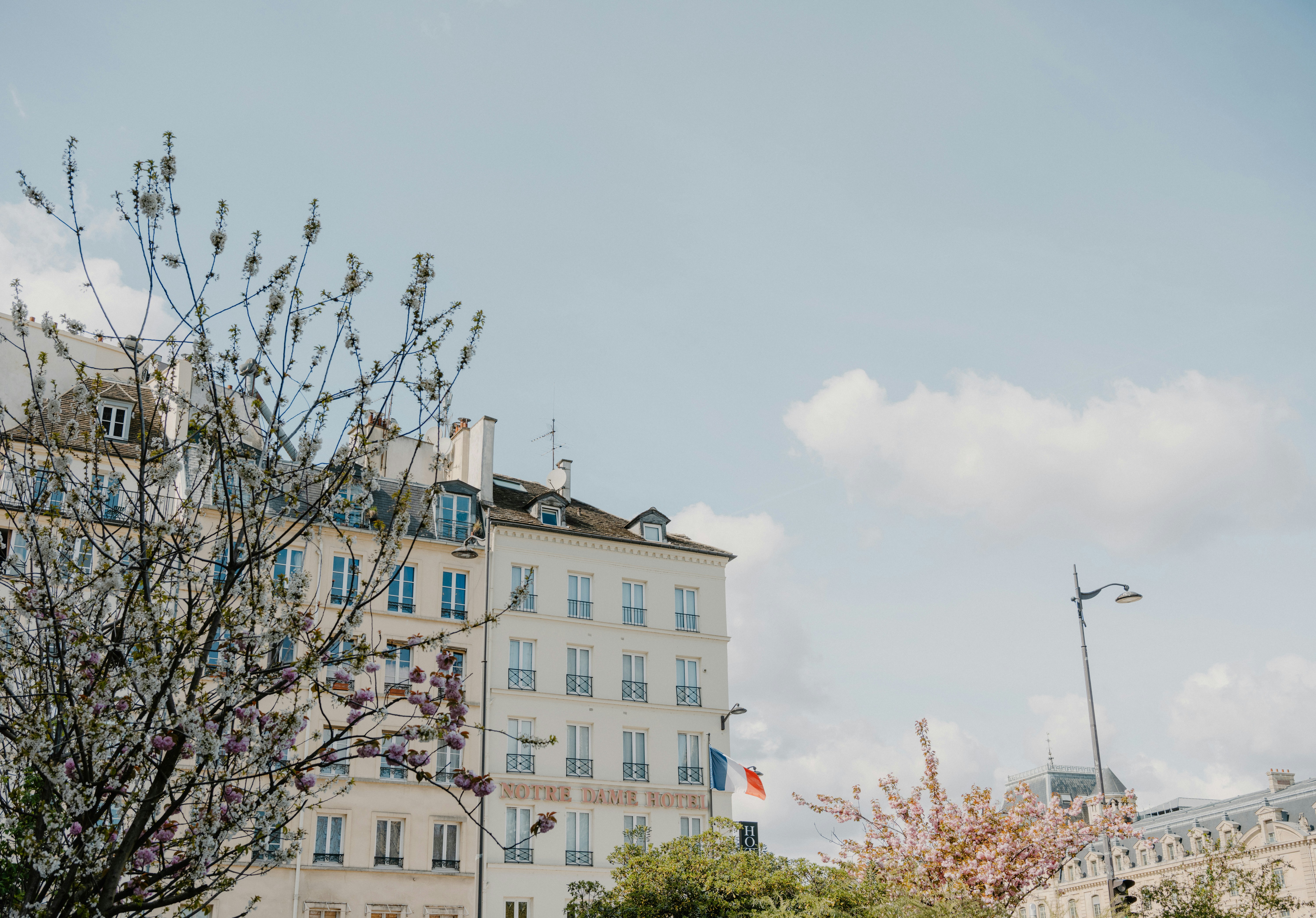 Parisian Facades and Blossoms under a Soft Sky