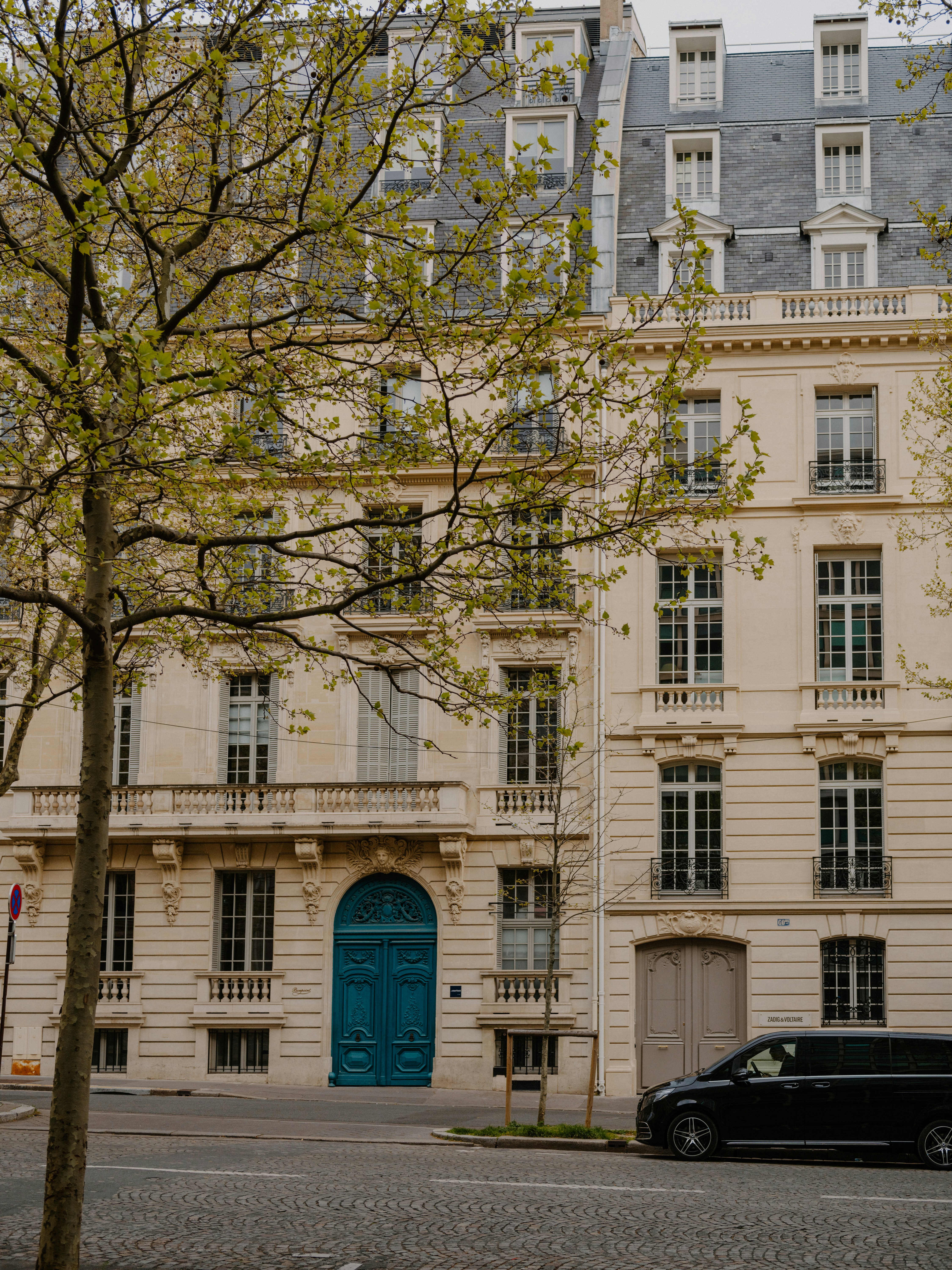 Parisian Facade with Teal Door and Tree in the Foreground