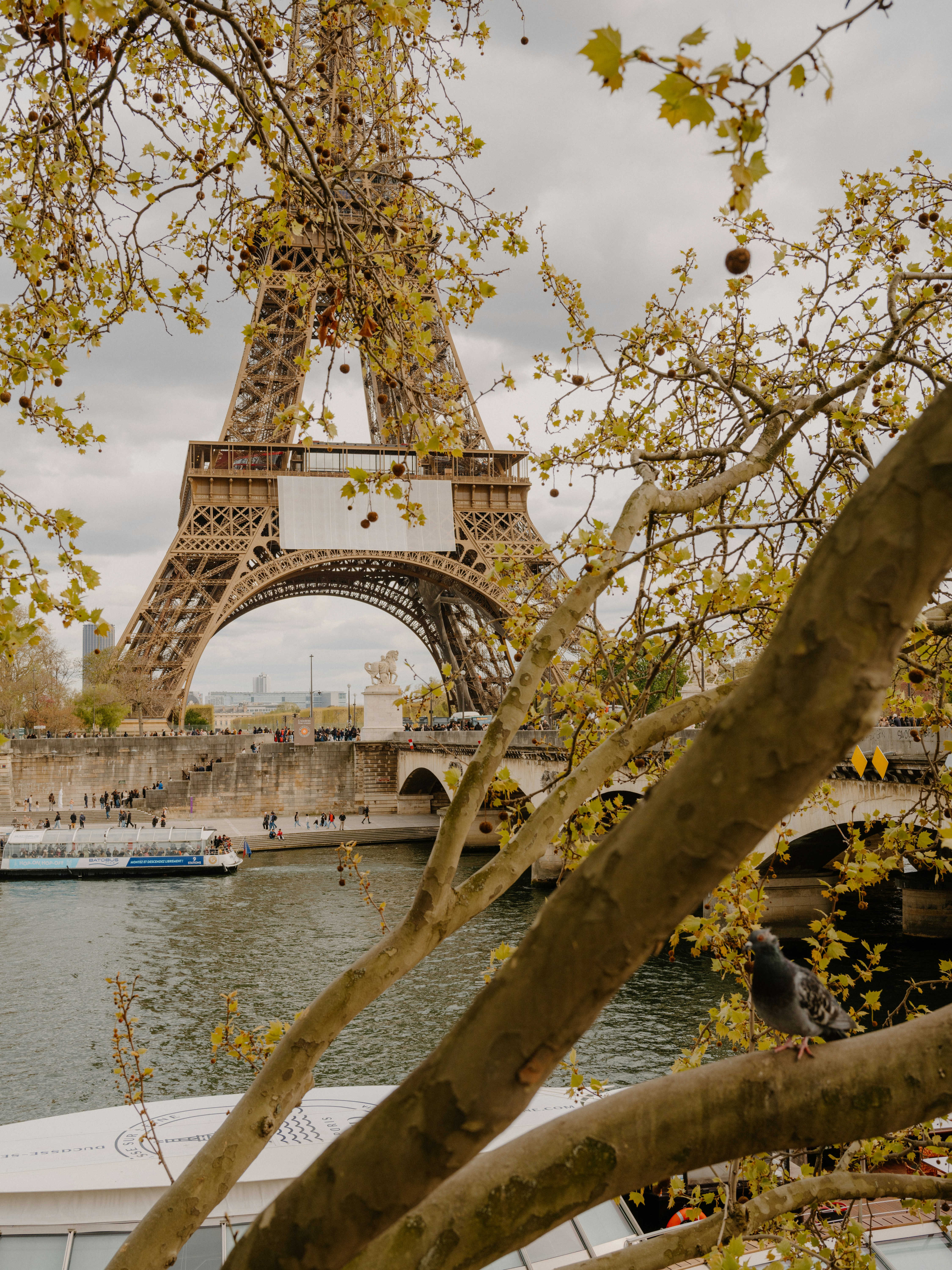 Iron Lacework Over the Seine: Paris through Autumnal Frames