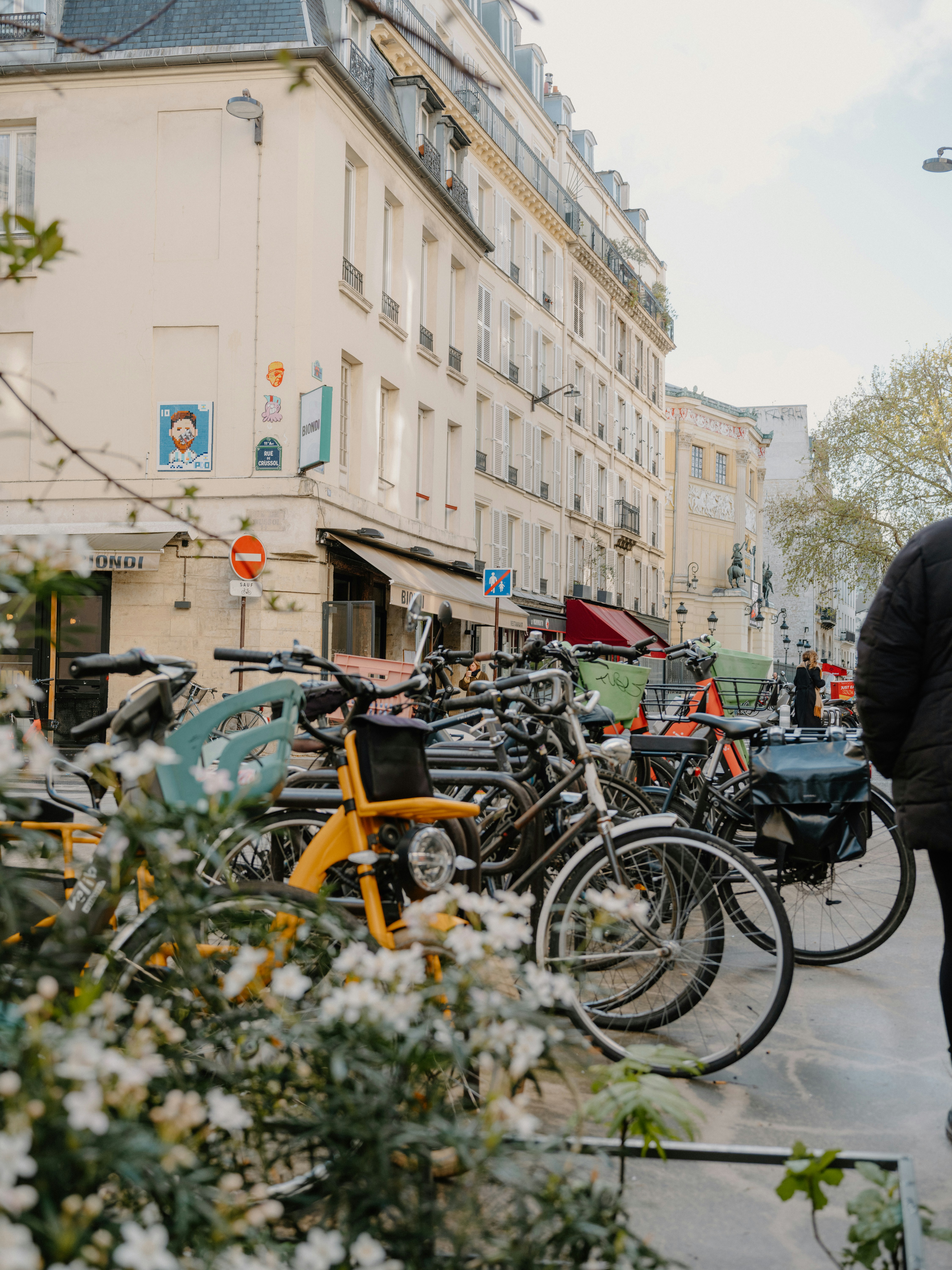 Bikes Line the Parisian Street Under Soft Afternoon Light