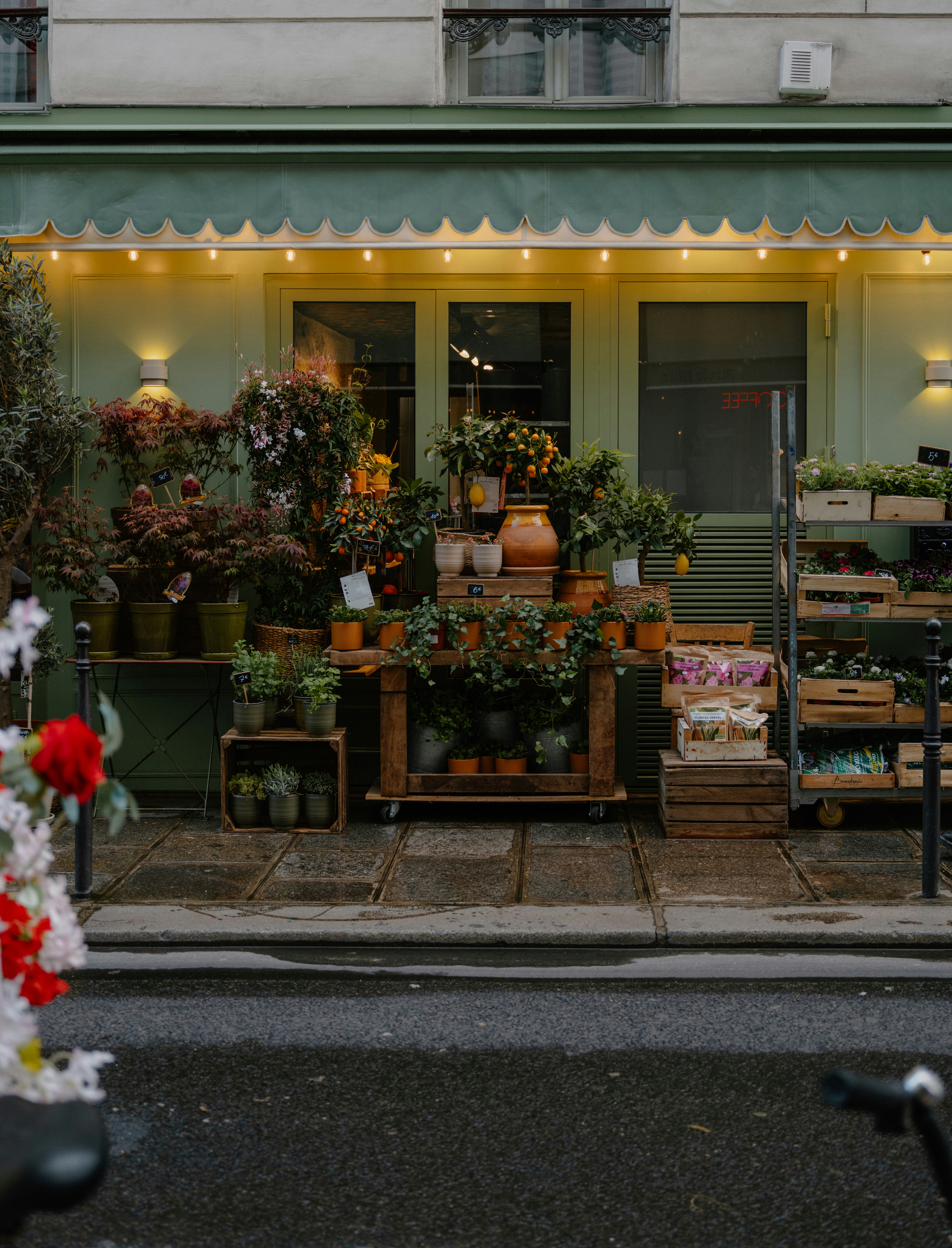Colorful flower shop display with potted plants and crates outside, soft evening light on a rainy street.