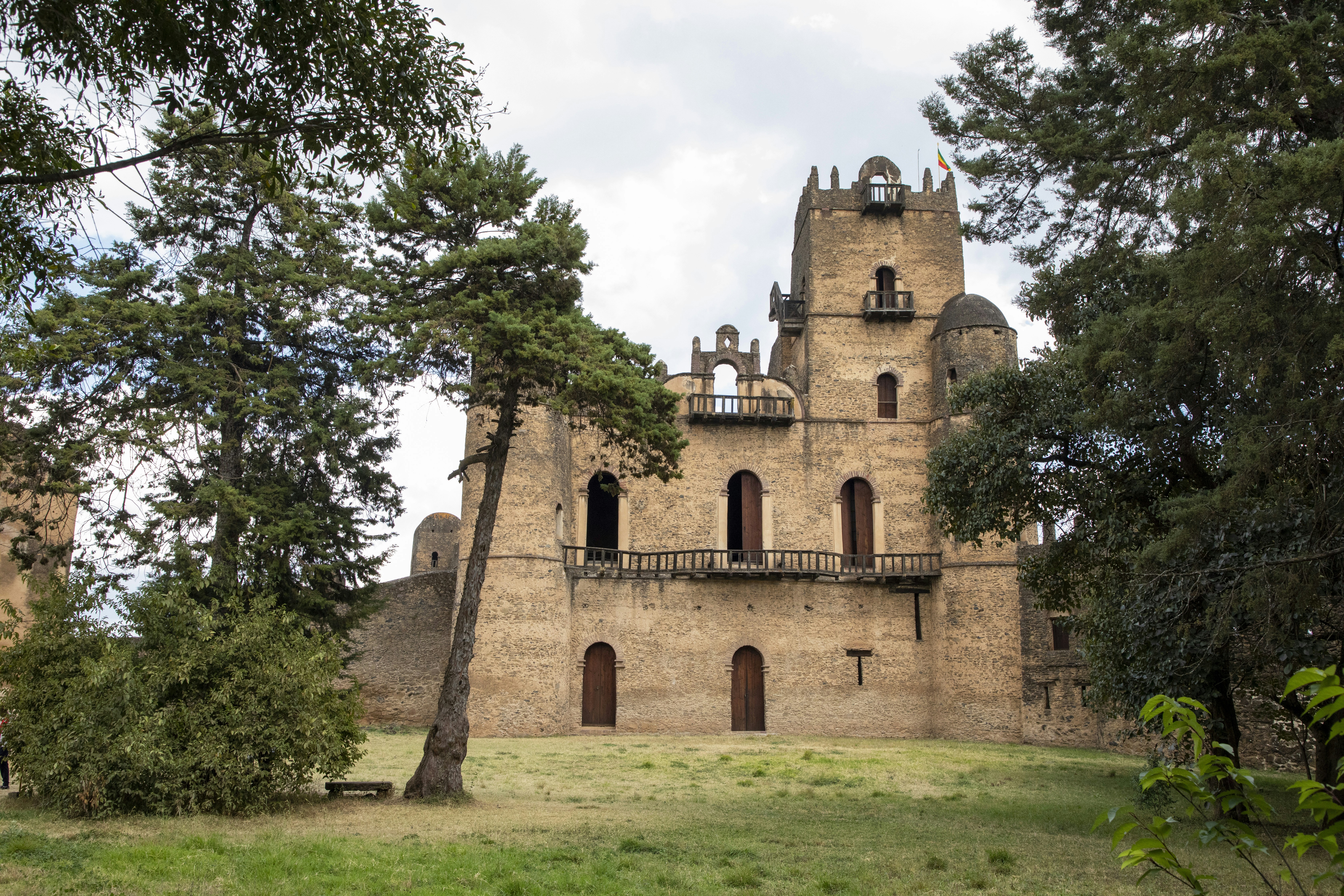 Stone Sentinel: A Castle Rising from the Pines