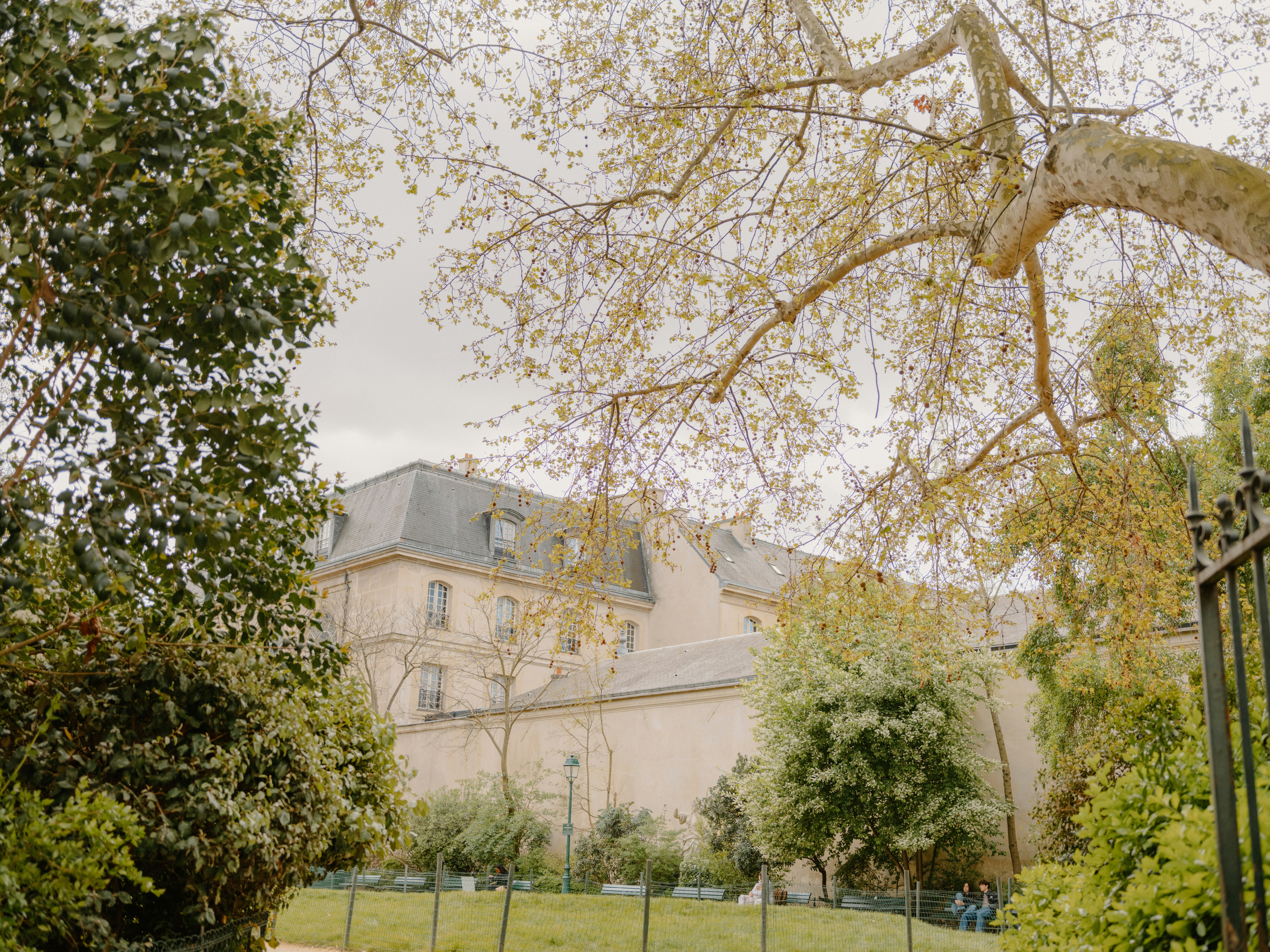 Quiet Courtyard Facade: A Sunlit Campus Scene