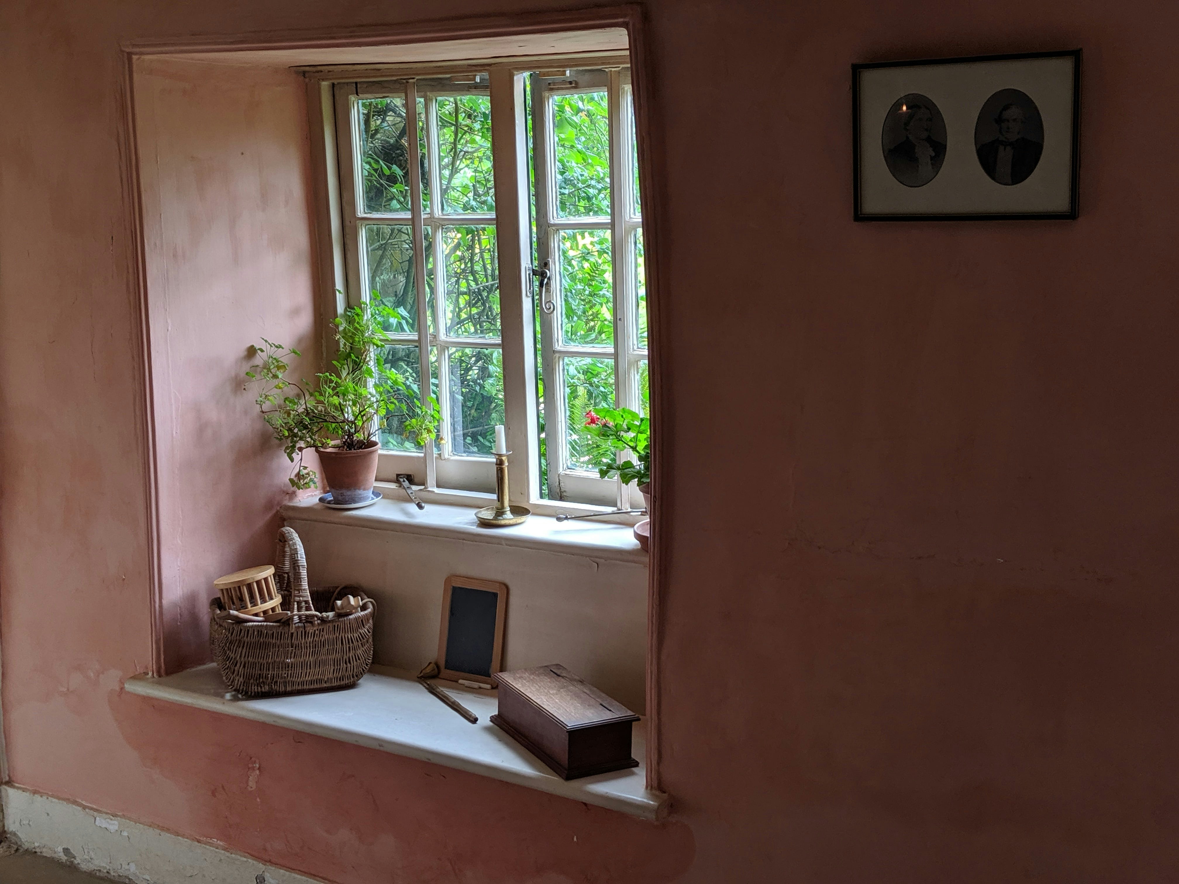 Sunlit Windowsill with Potted Plants in Earth-Tone Room