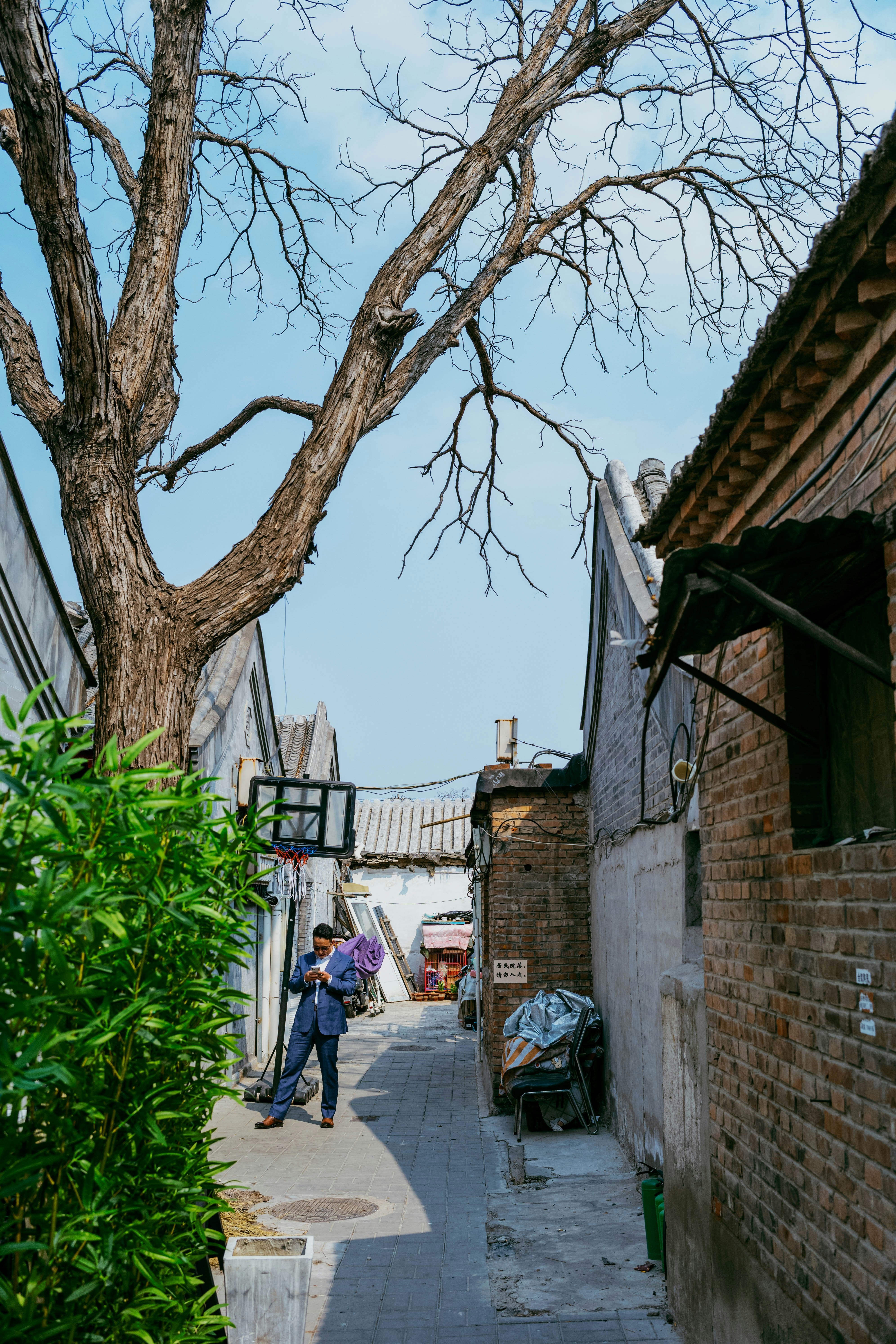 Alley Portrait: A Man in a Narrow Beijing-Style Lane