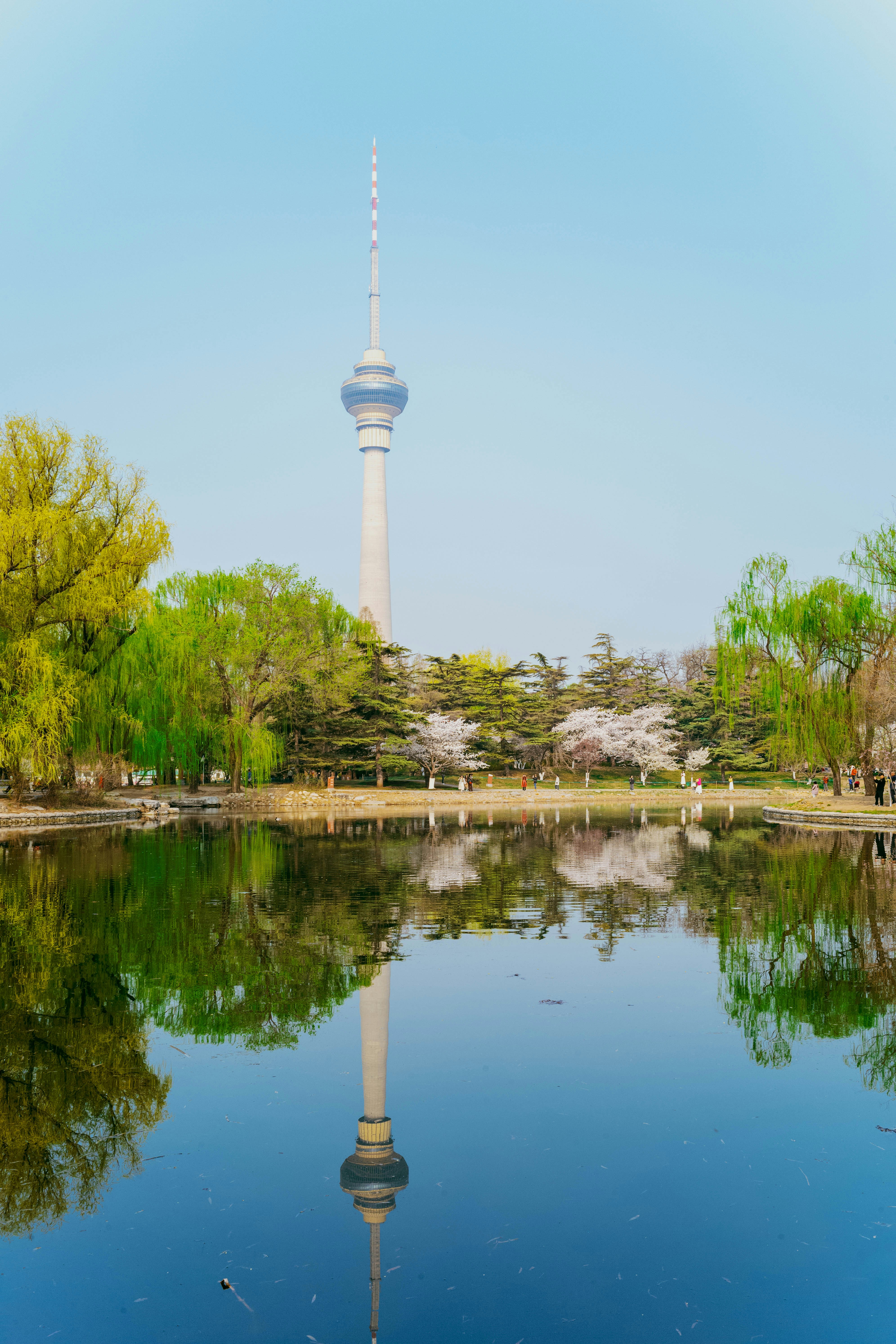 Symmetrical Skyline: Tianjin Tower Reflected in a Serene Lake