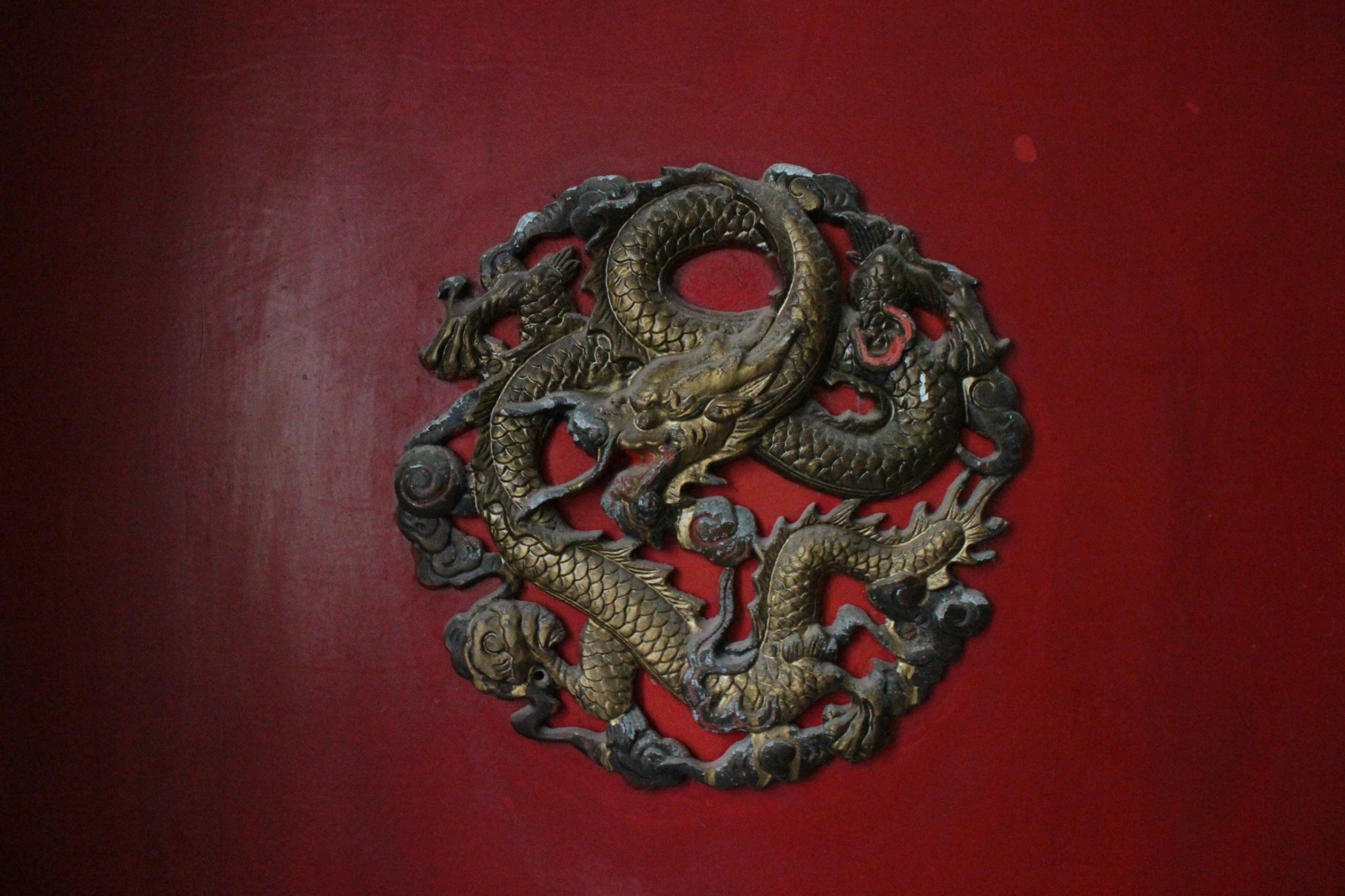 Bronze Dragon Emblem on a Crimson Backdrop