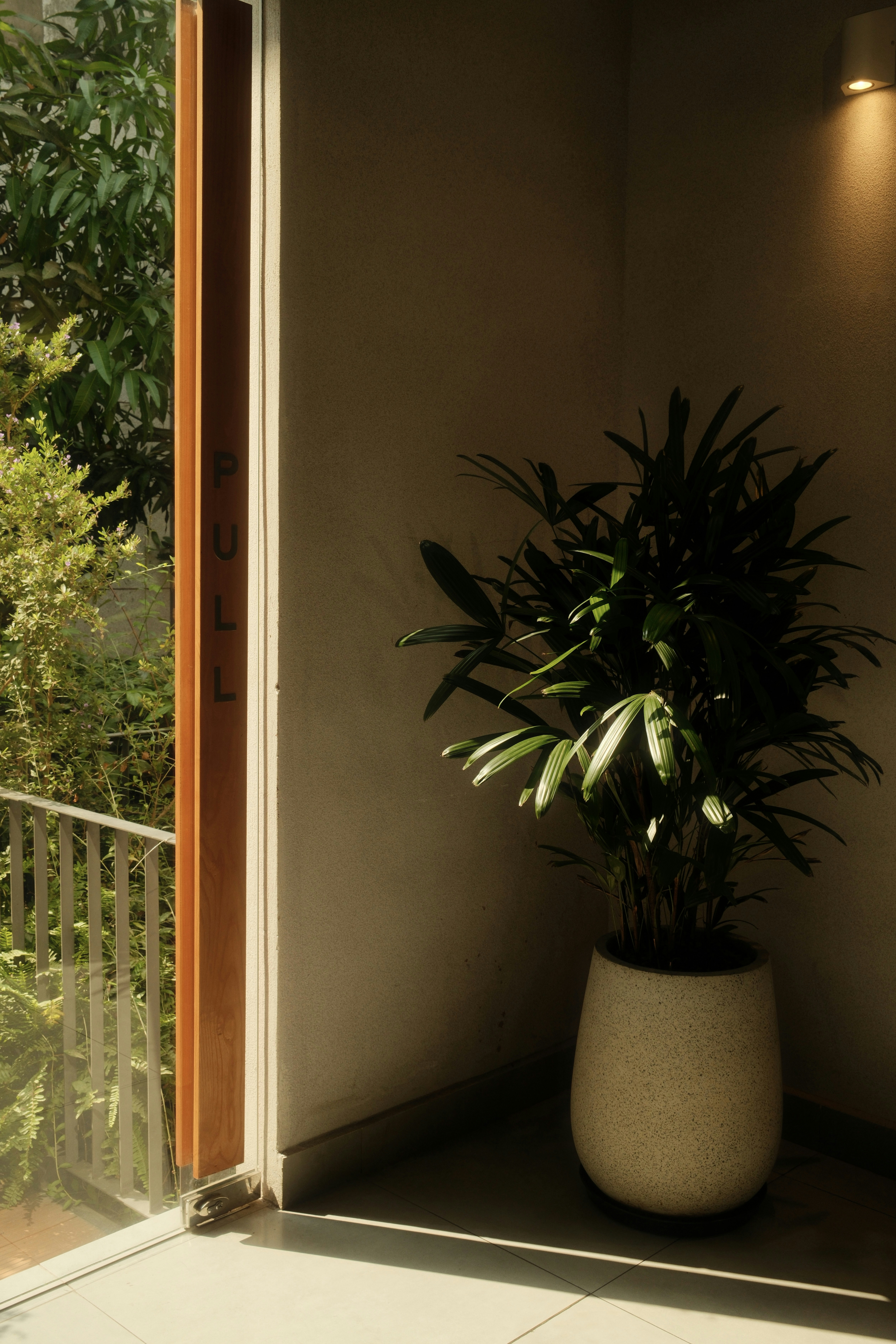 Morning Light in a Minimal Plant Nook