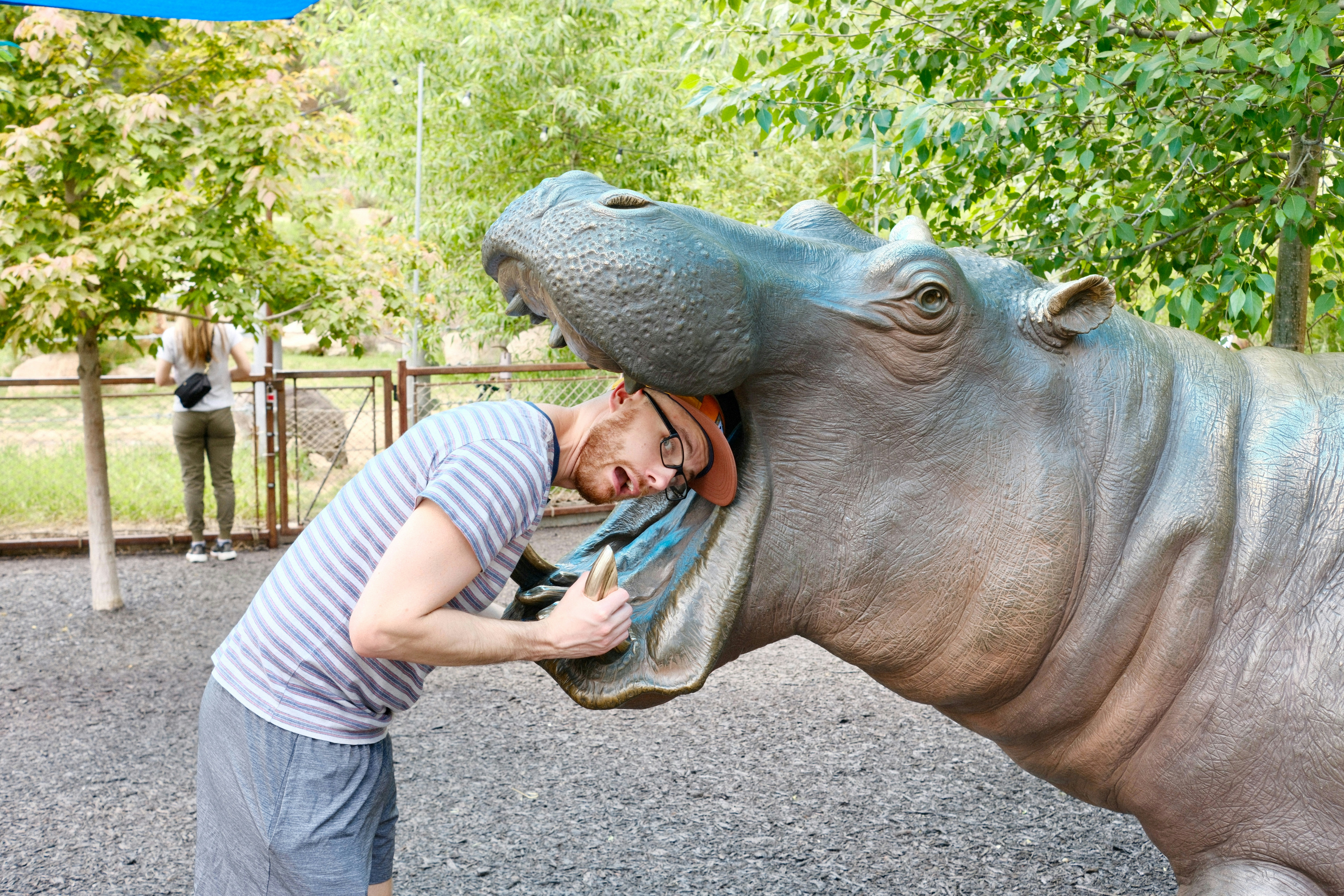 Close Quarters with a Gentle Giant: Man Bends to Share a Moment with a Hippo