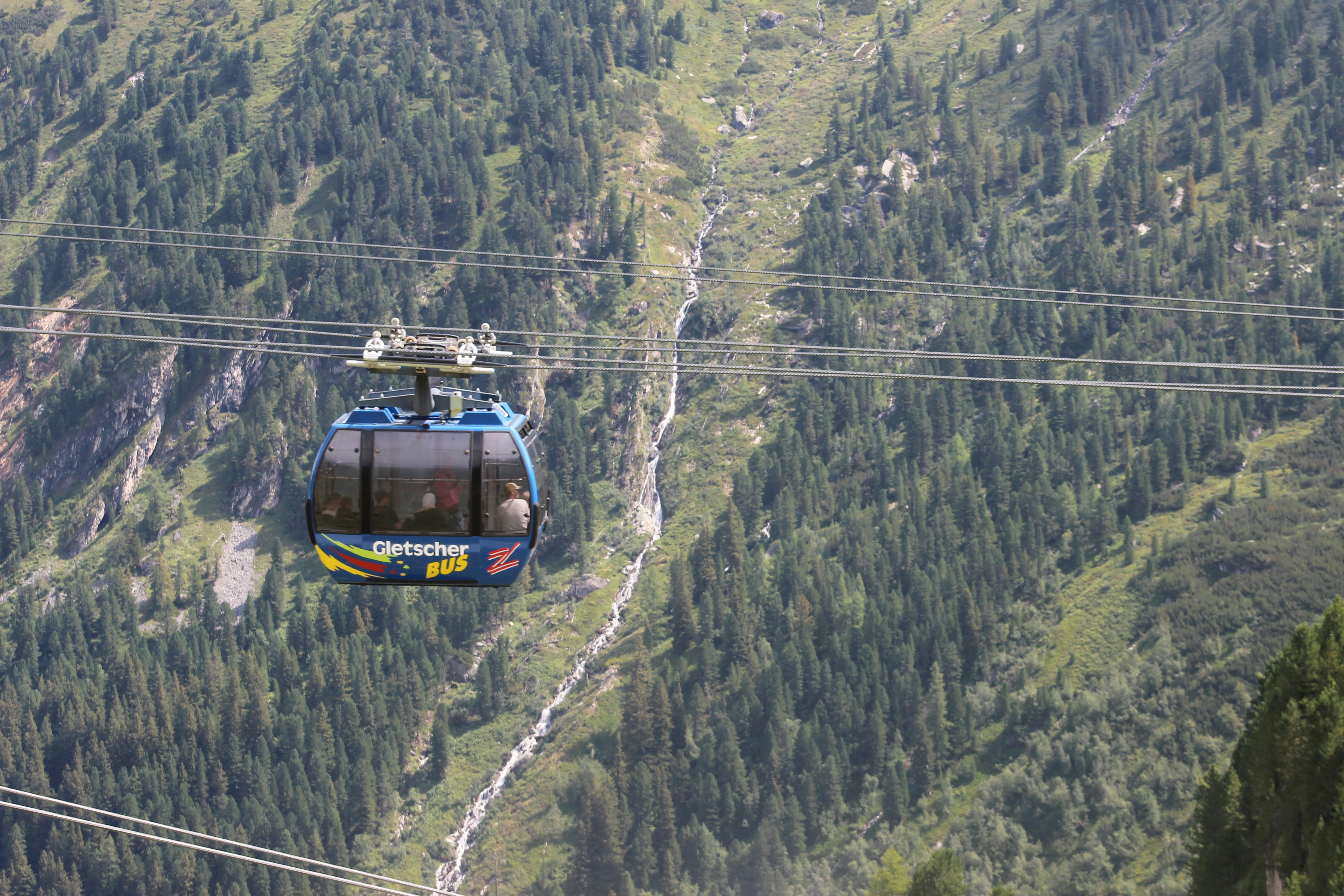 Cable Car Descent Through Alpine Pines