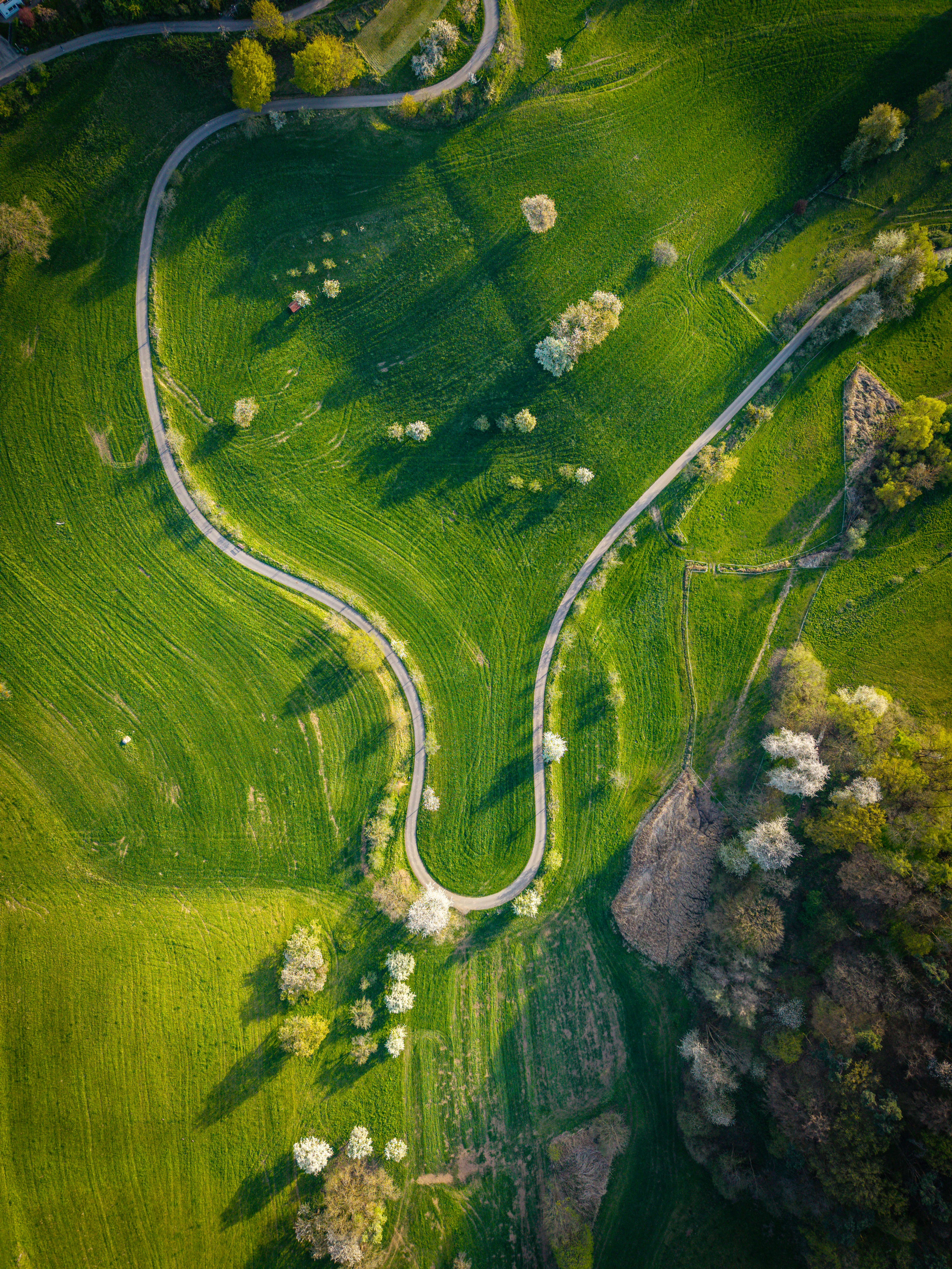 Winding Path Carves Green Contours Across a Hillside