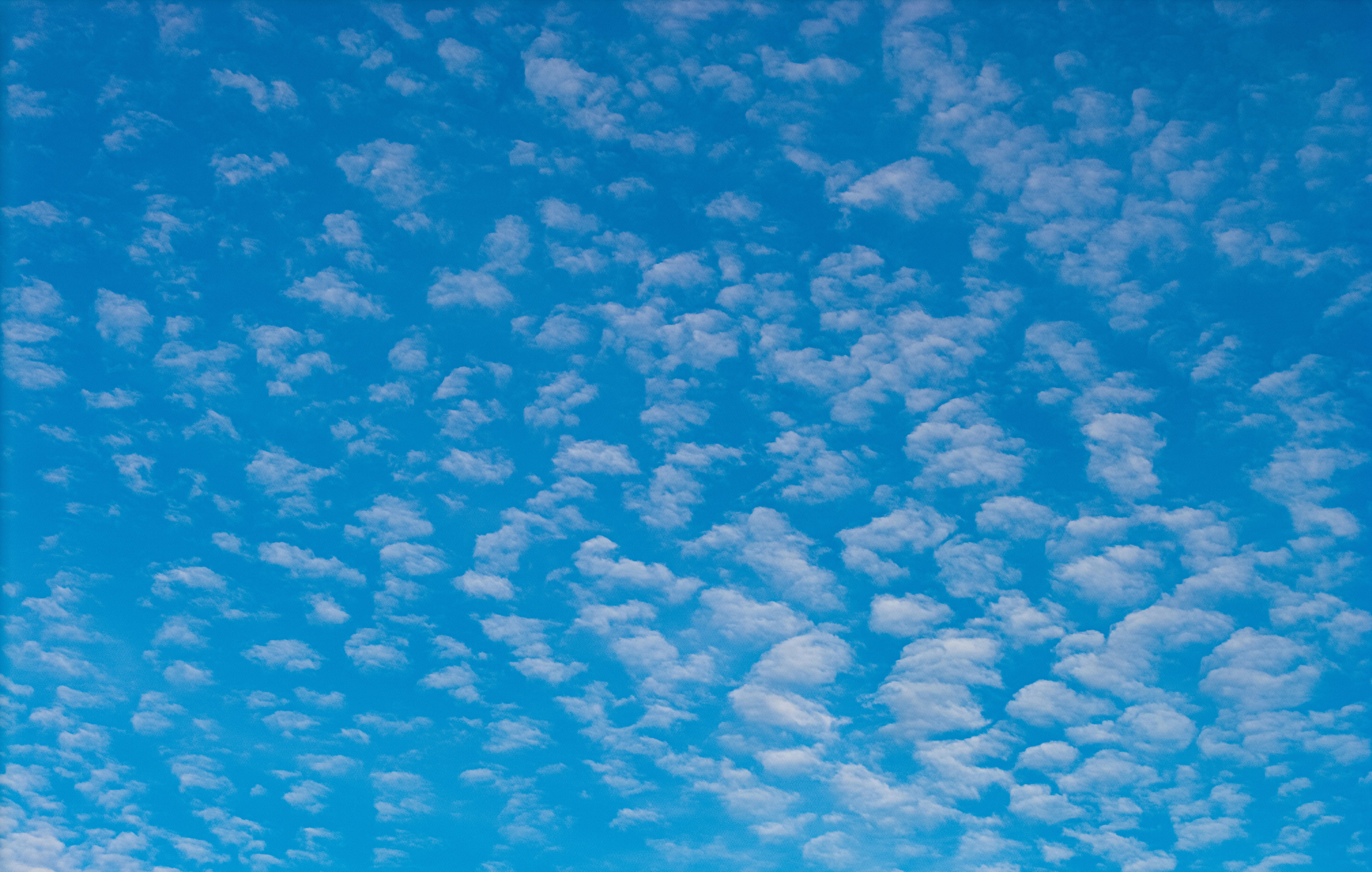 Azure Sky Quilt: A Field of Cloudlets Under Wide Open Light
