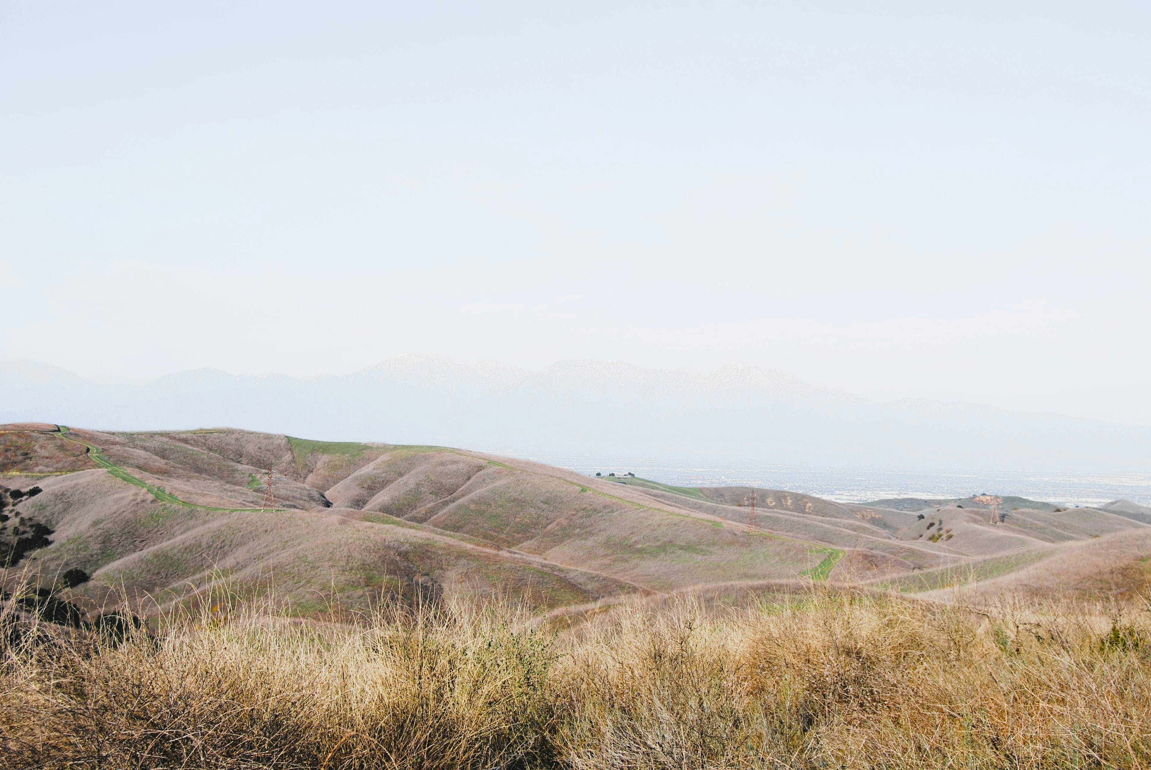 Rolling Hills Under a Clear Sky