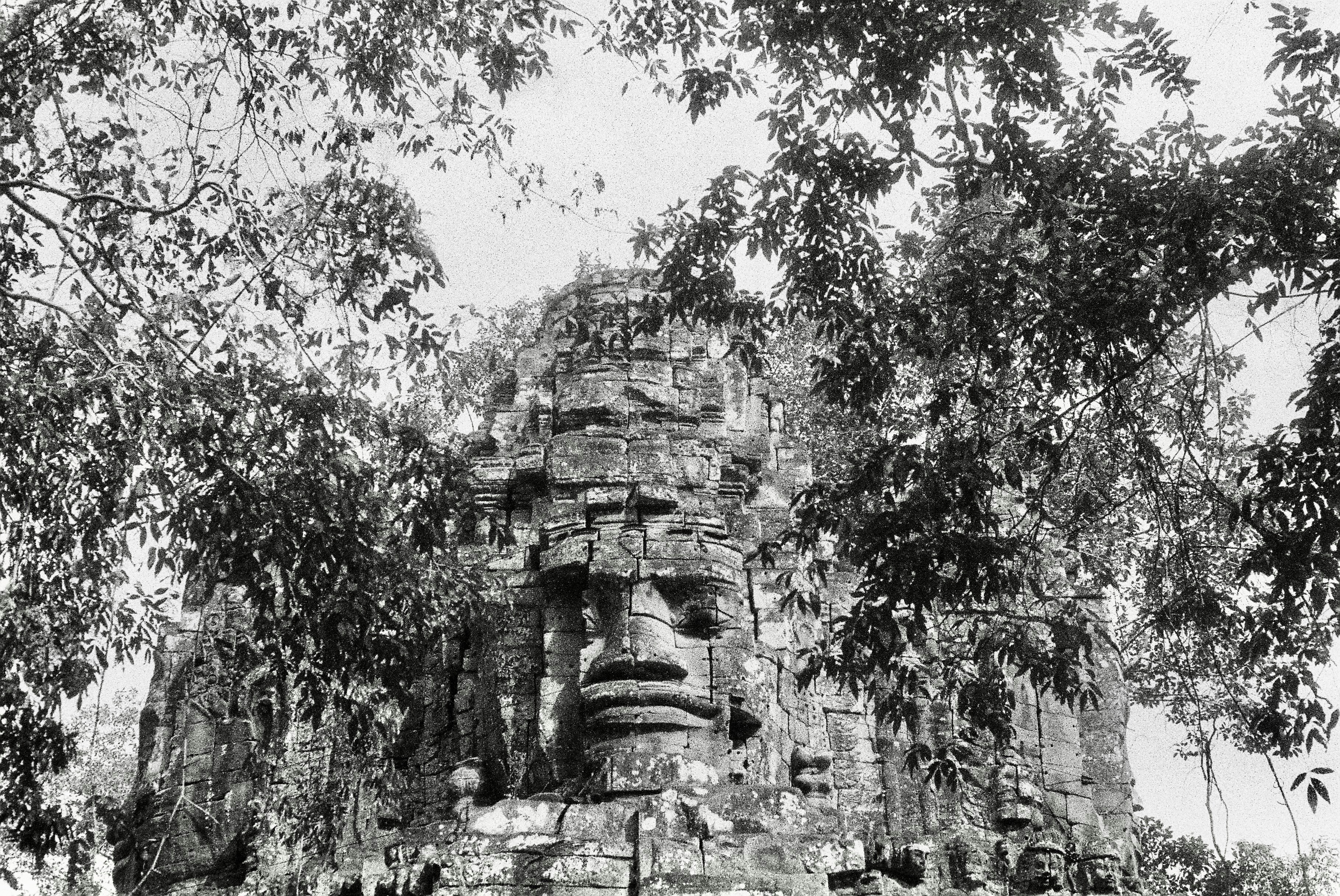 Stone Guardian: Crumbling Faces Beneath the Canopy