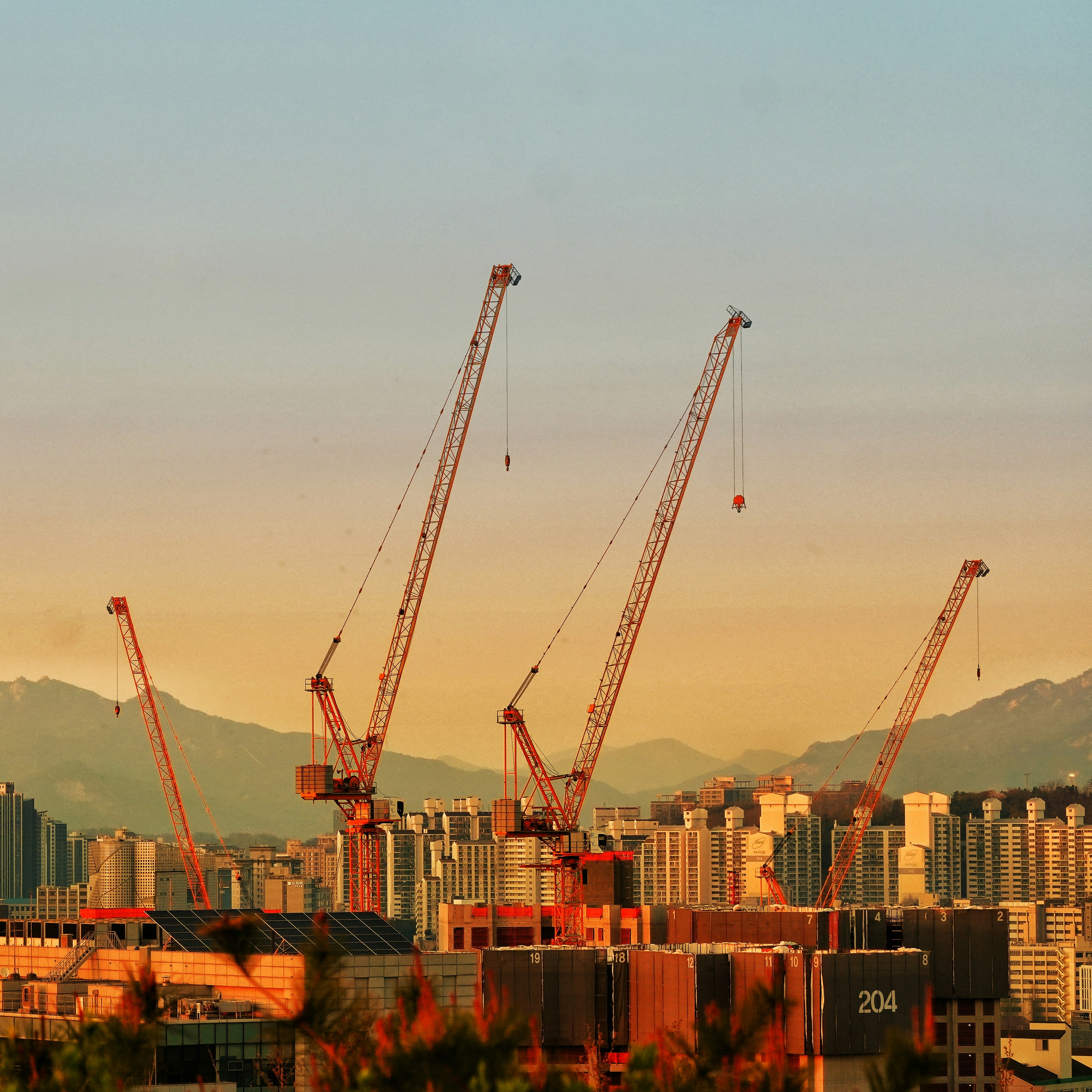 Crane Ballet Over a Cityscape at Golden Hour