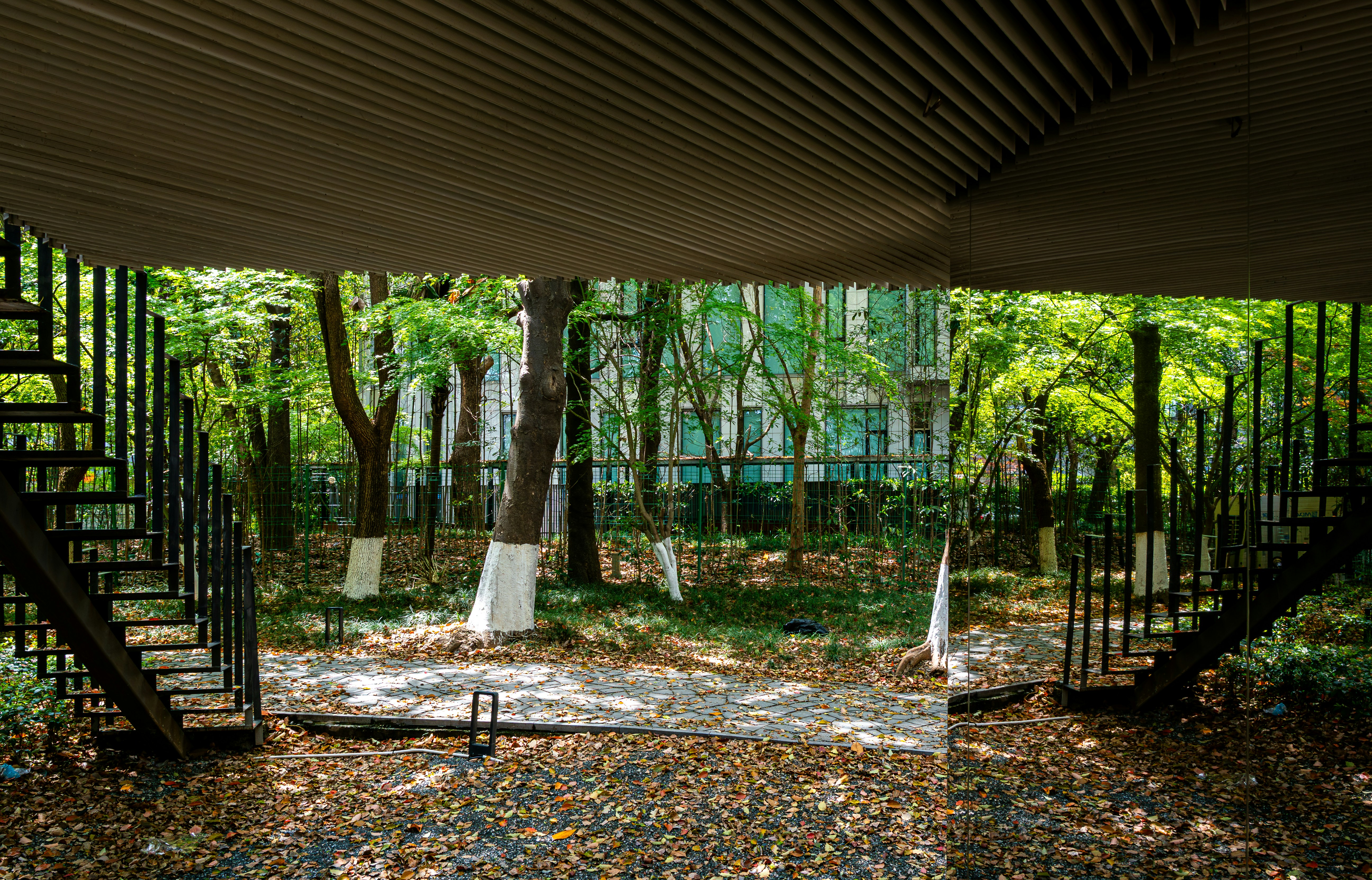 Under the Canopy: Stairwells Framing a Quiet Campus Courtyard