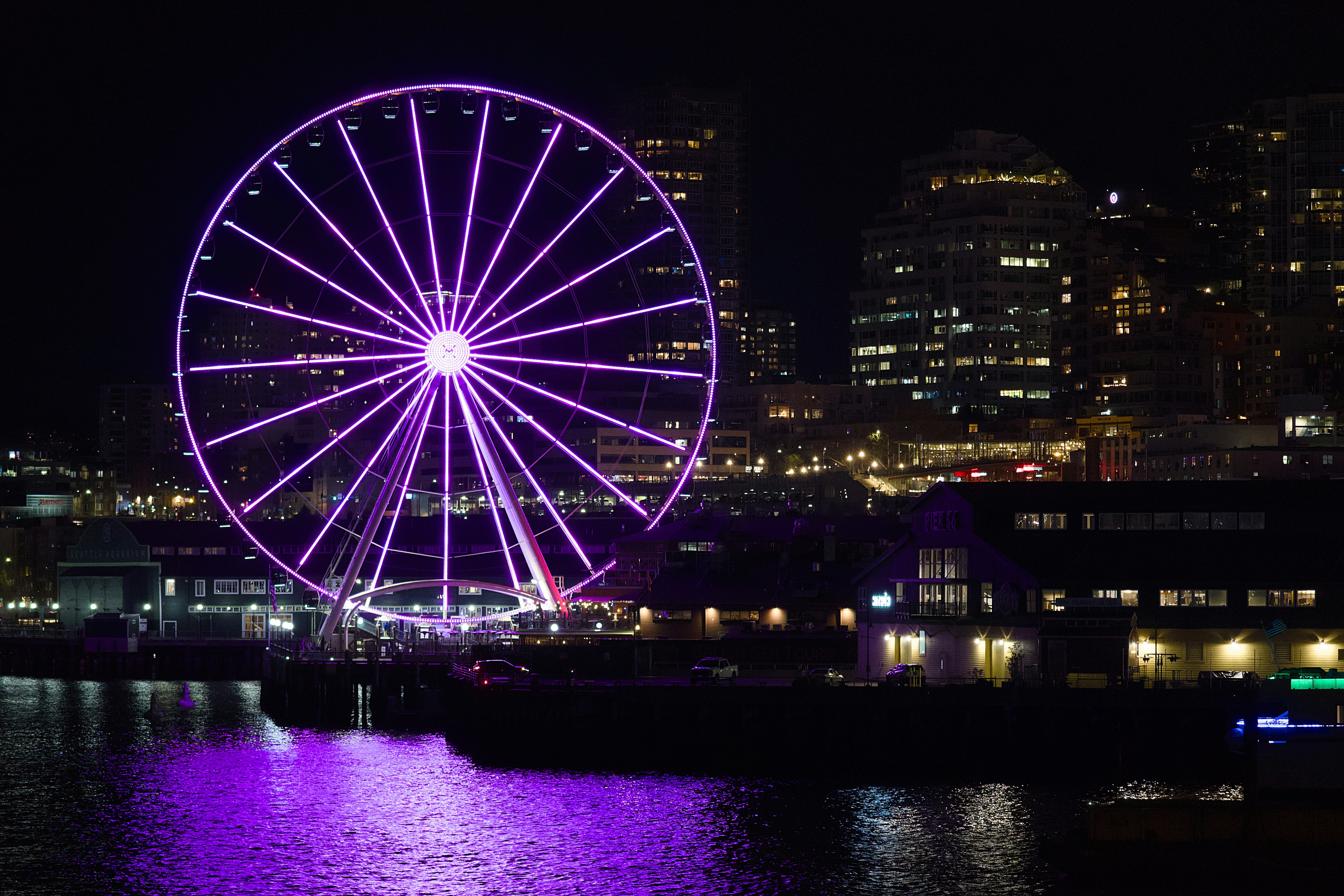 Neon Wheel in the Harbor Night