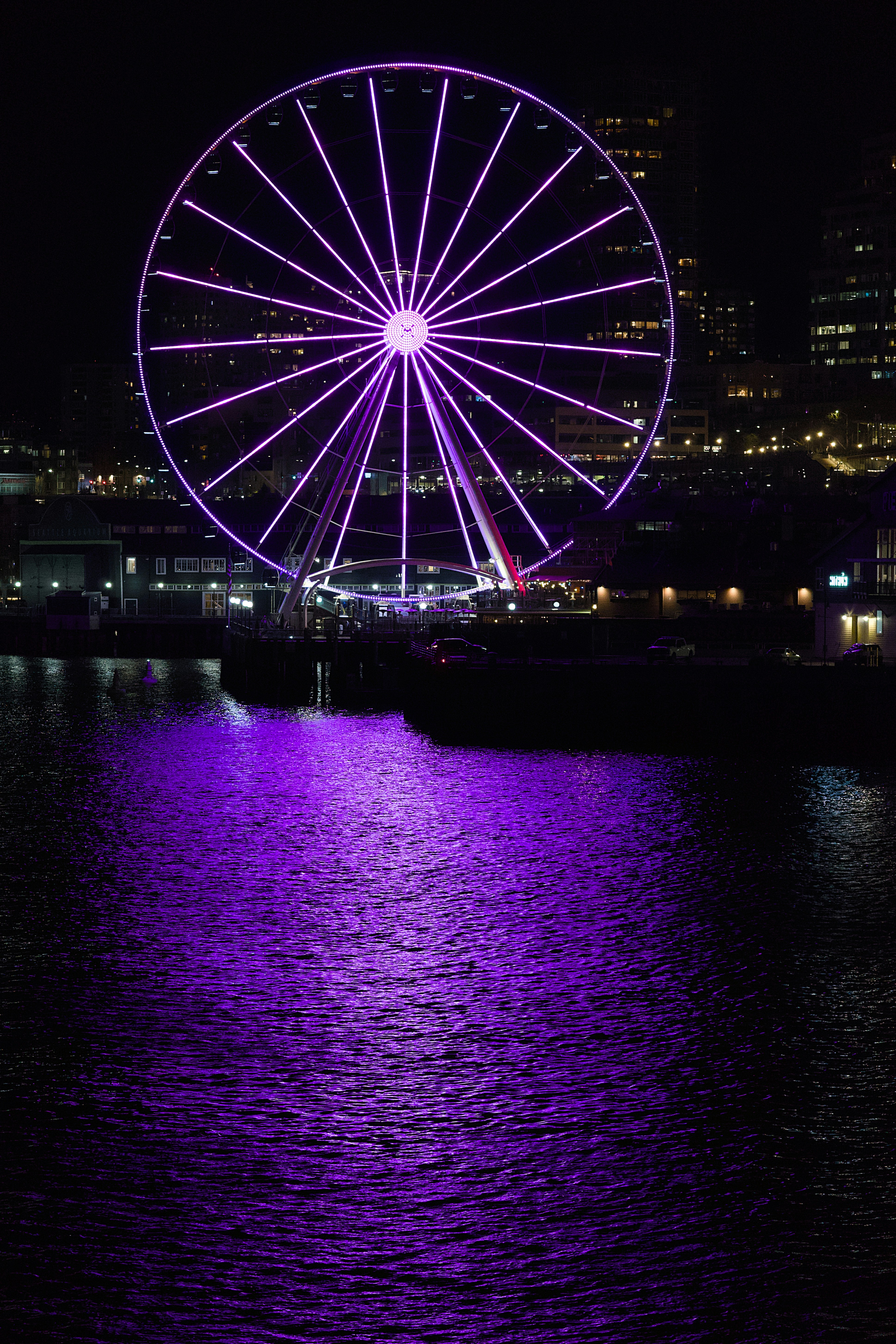 Neon Wheel by the Waterfront