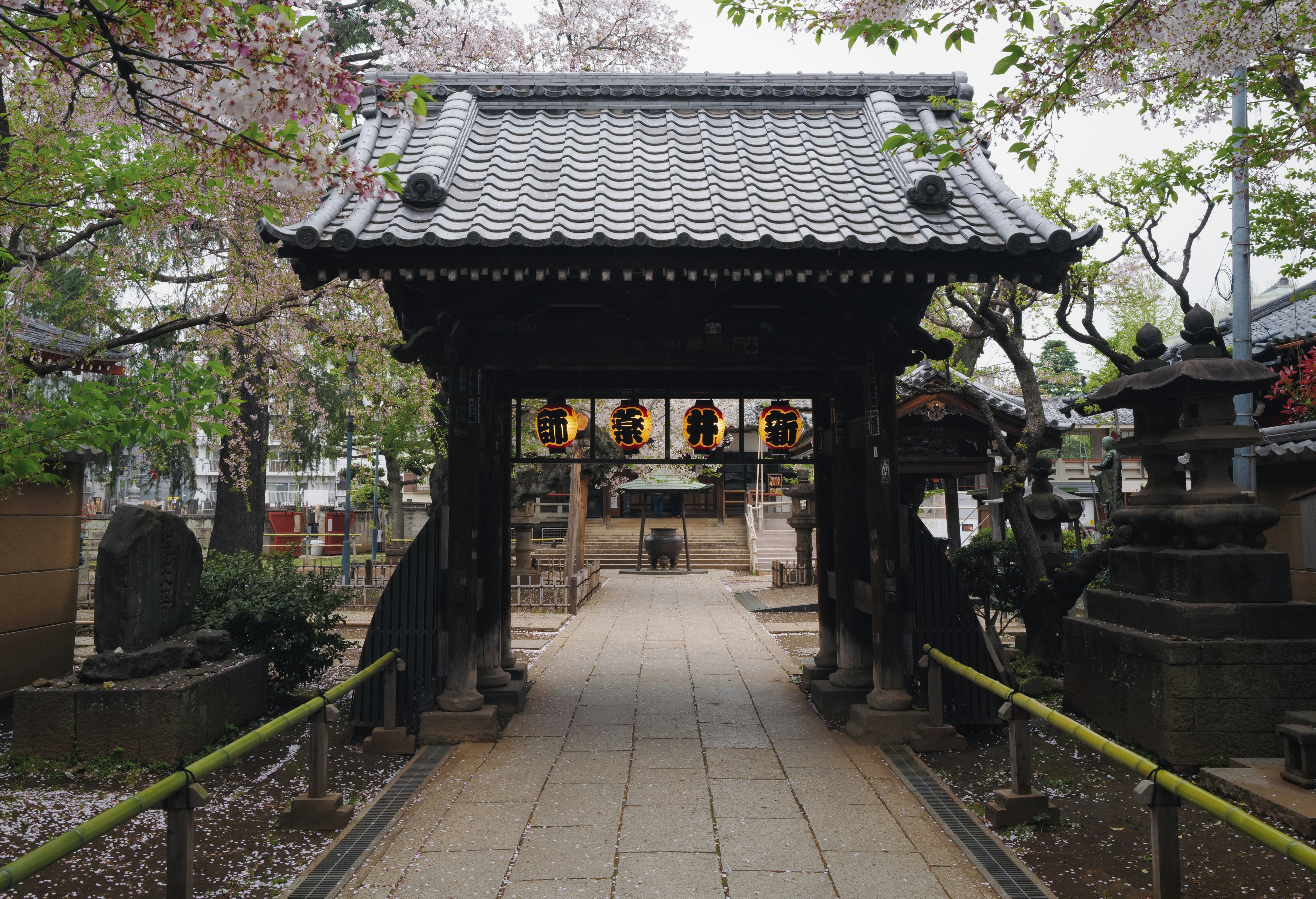 Gateway to Serenity: A Shrine Archway Framed by Blooming Trees