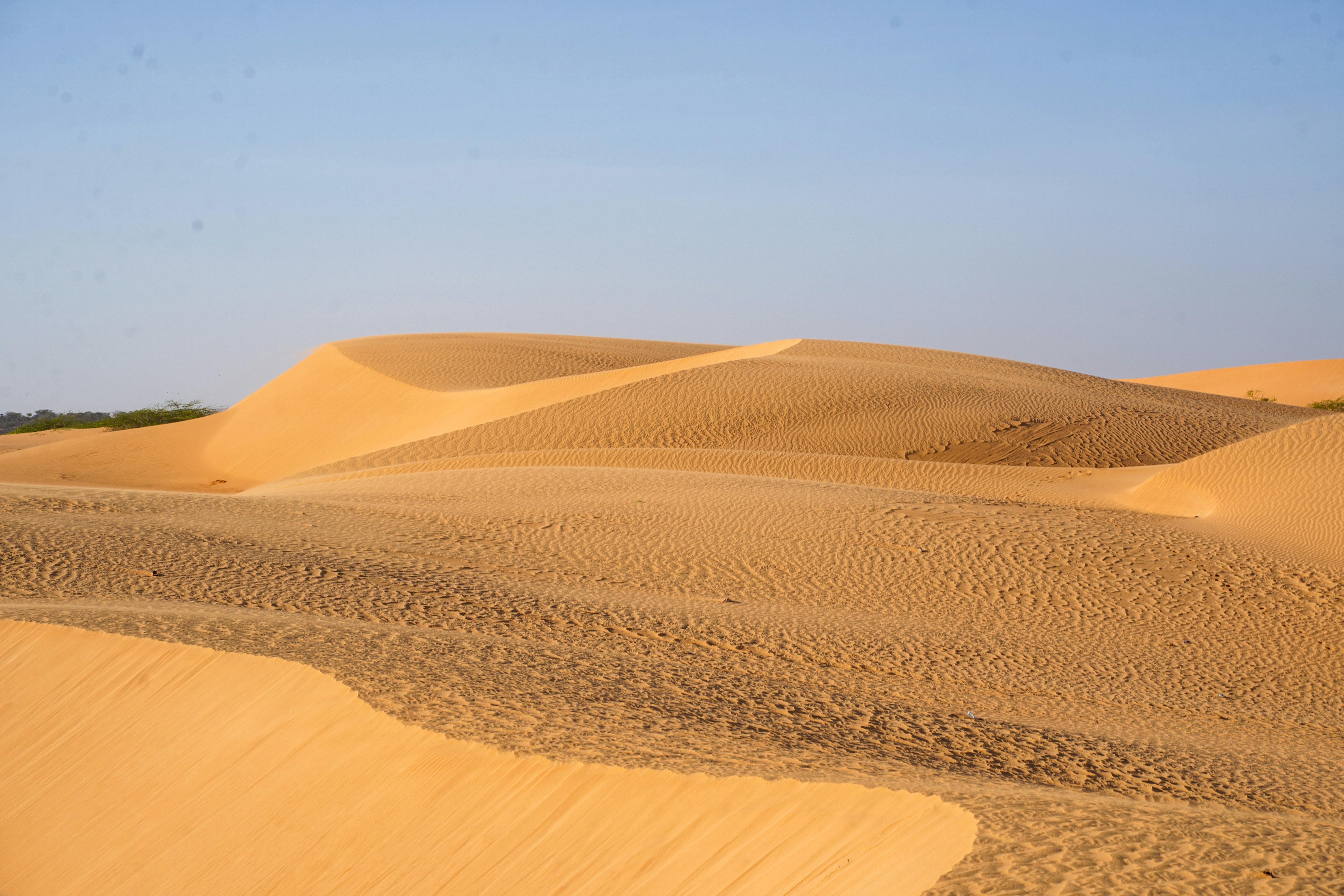 Golden Dune Crest Under a Clear Sky