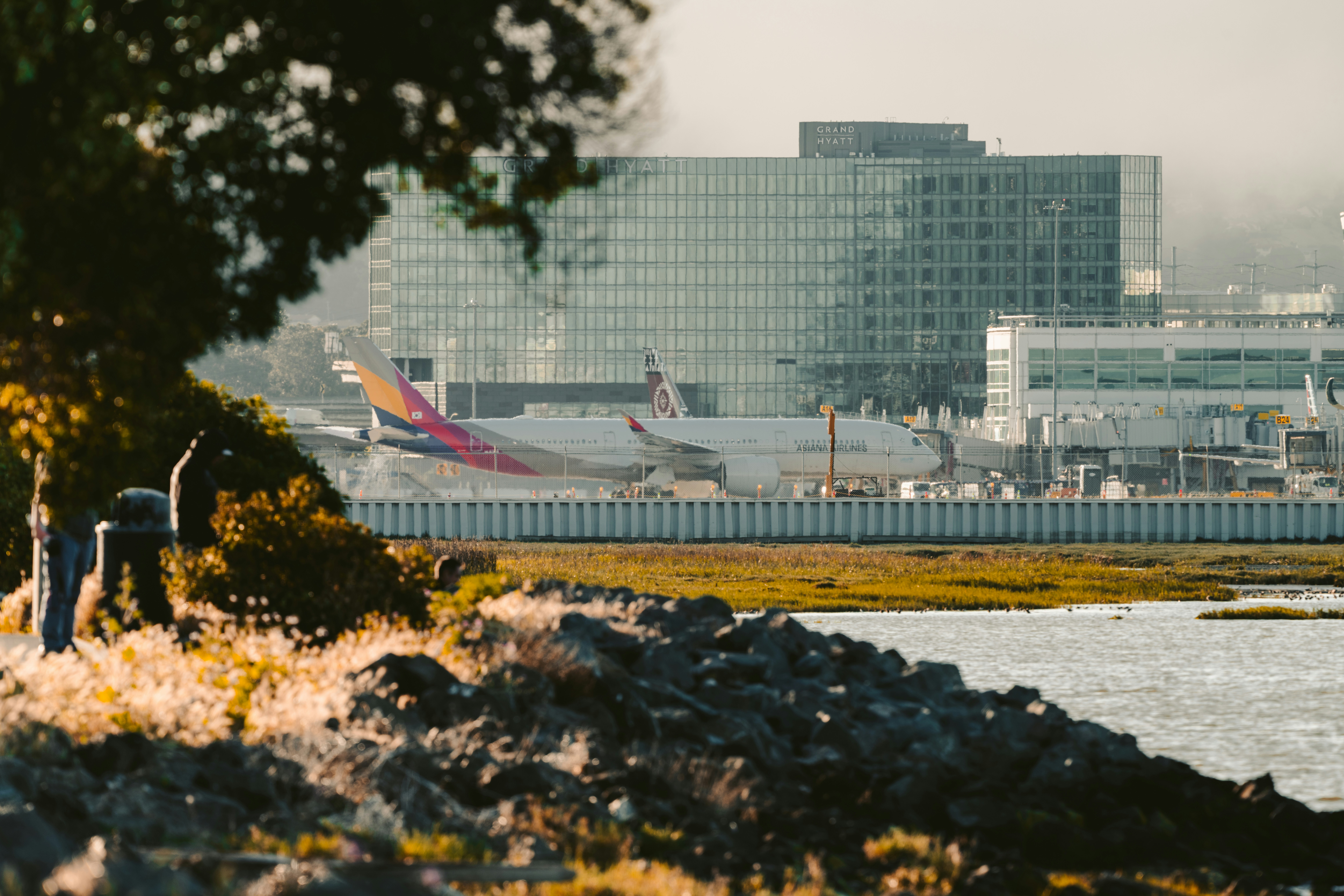 Terminal Veil: Quiet Runway through the Quiet Tide