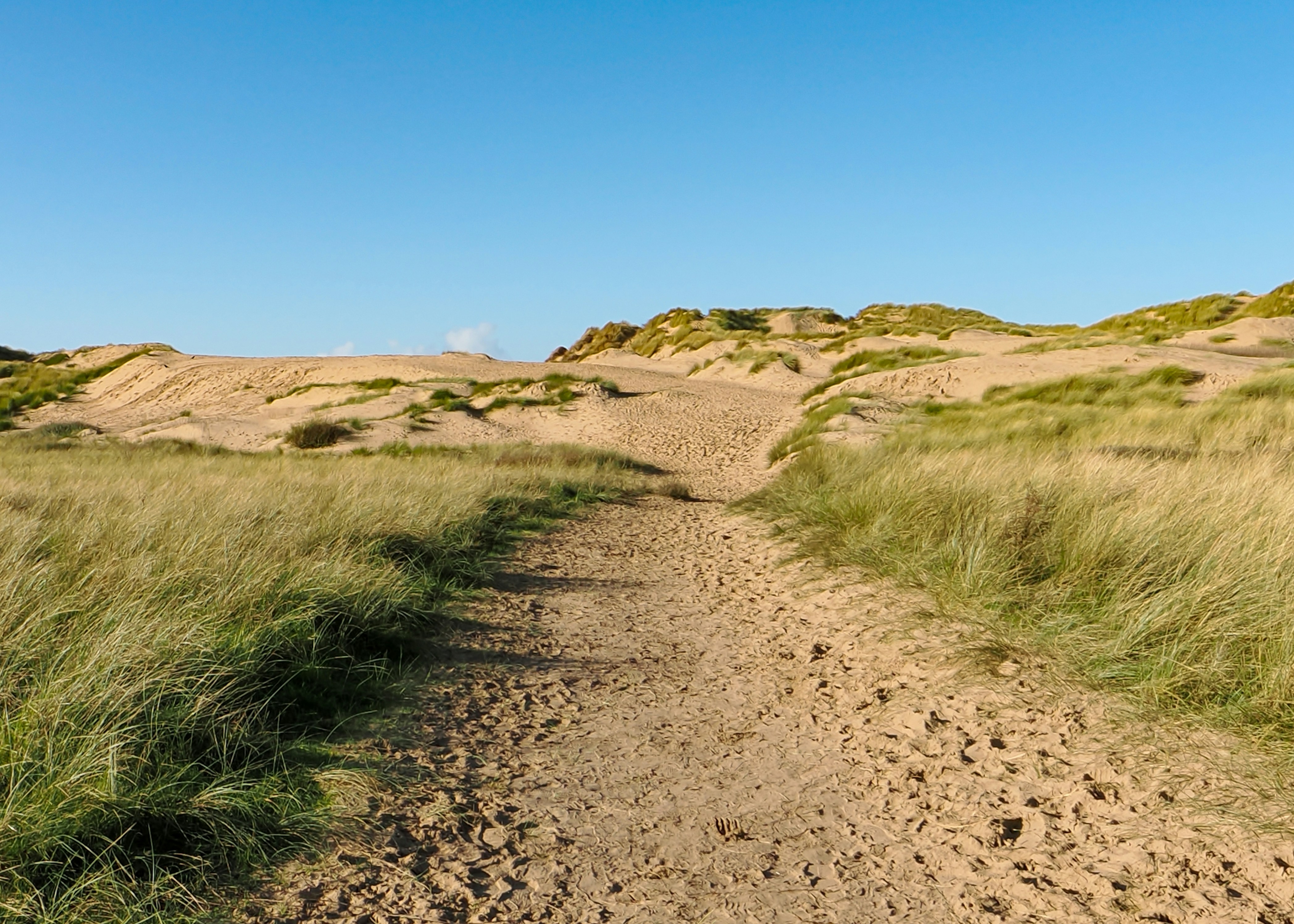 Dune Trail to the Quiet Ridge