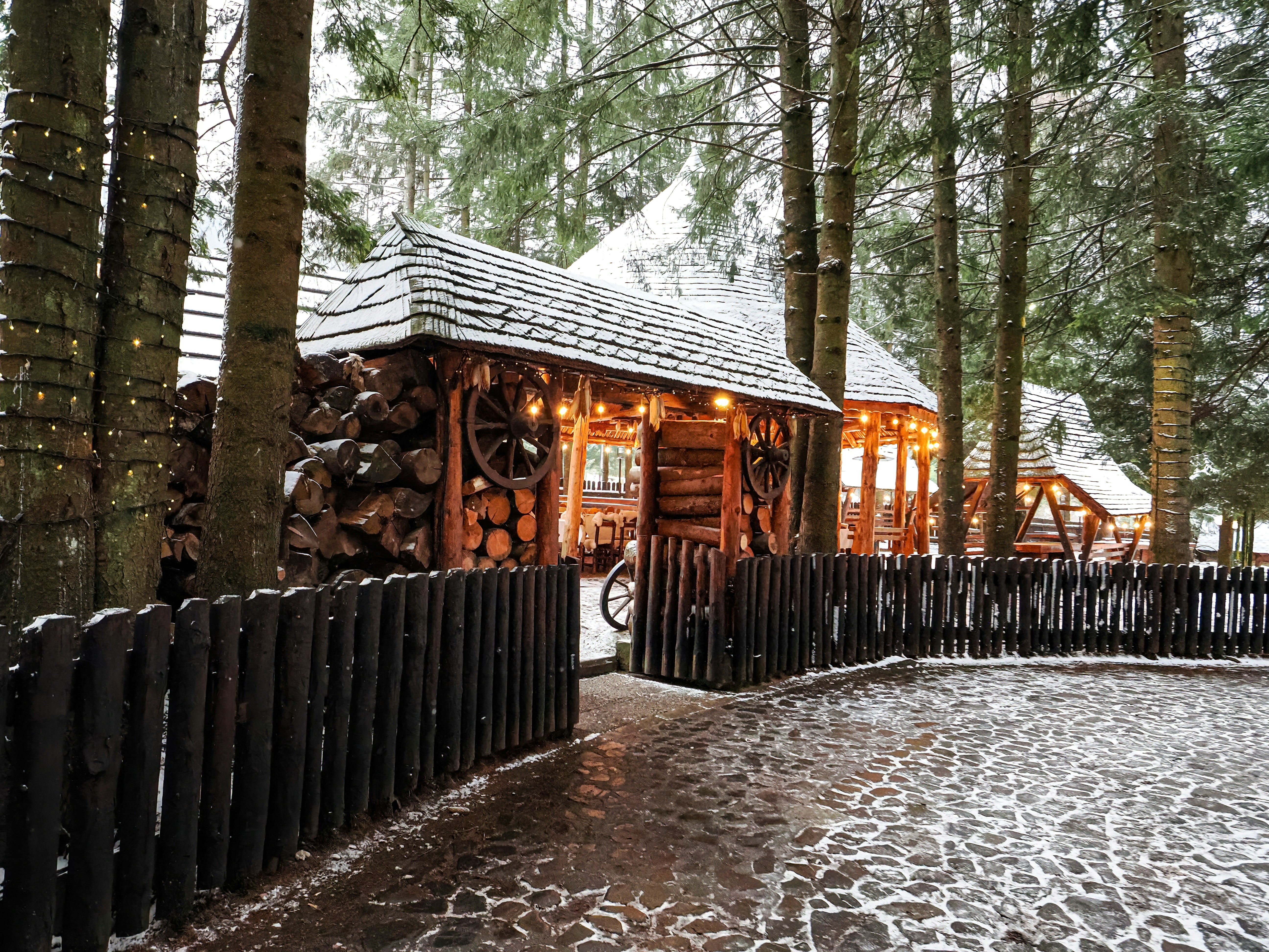 Cozy Woodland Log Inn Bordered by Frosted Pines