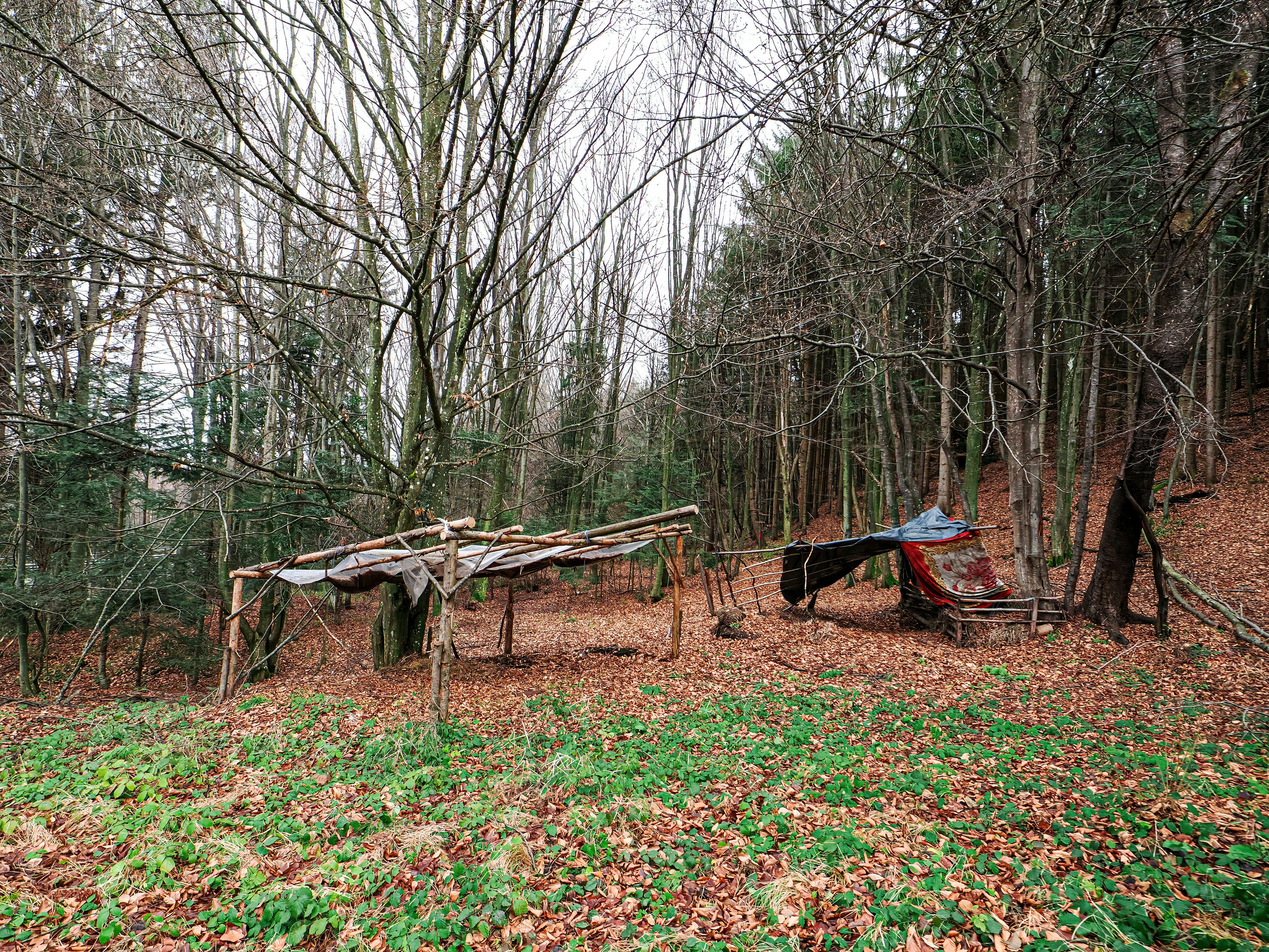 Quiet Camp Ruins in a Winter Wood