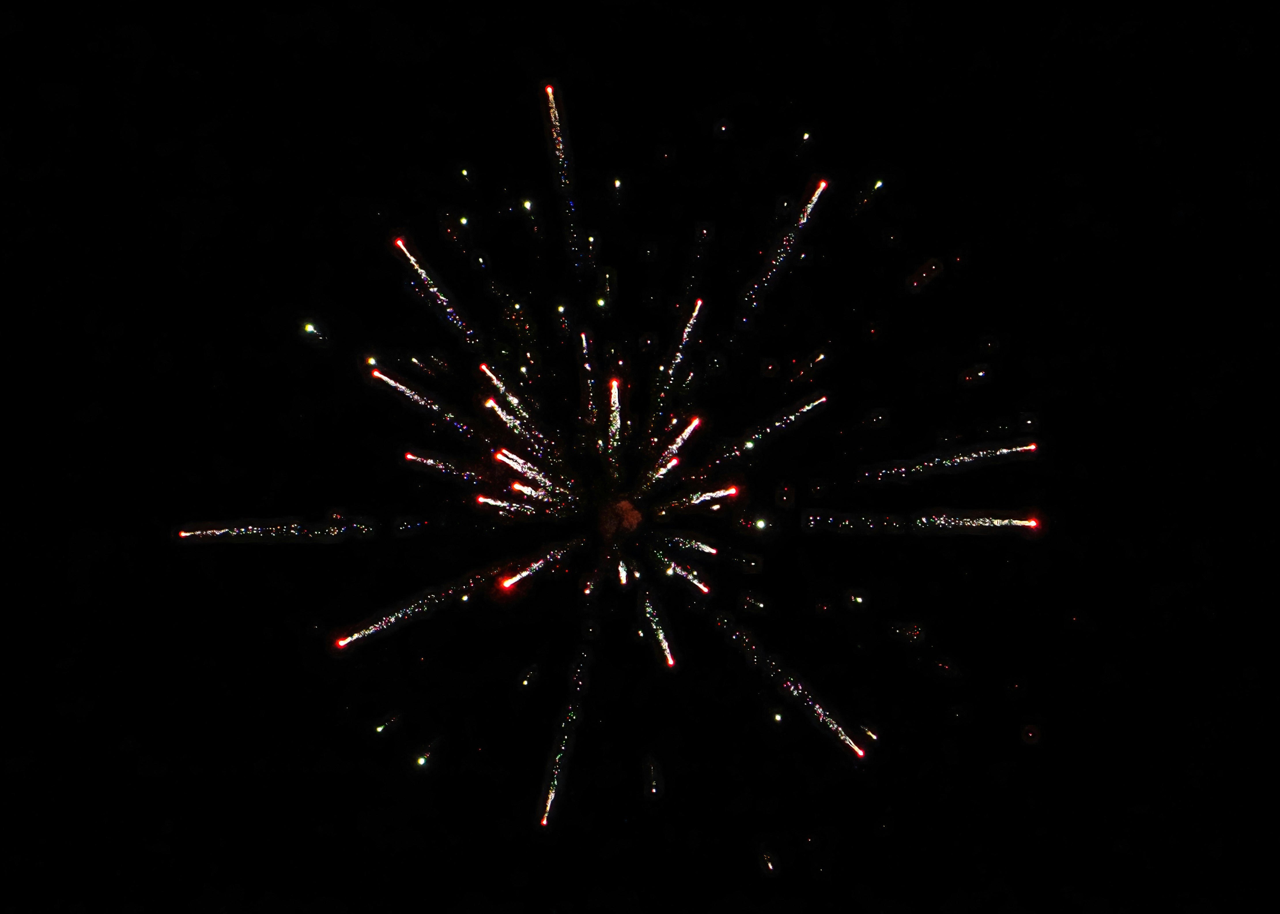 Midnight Burst: A Firework Crown Illuminates the Night