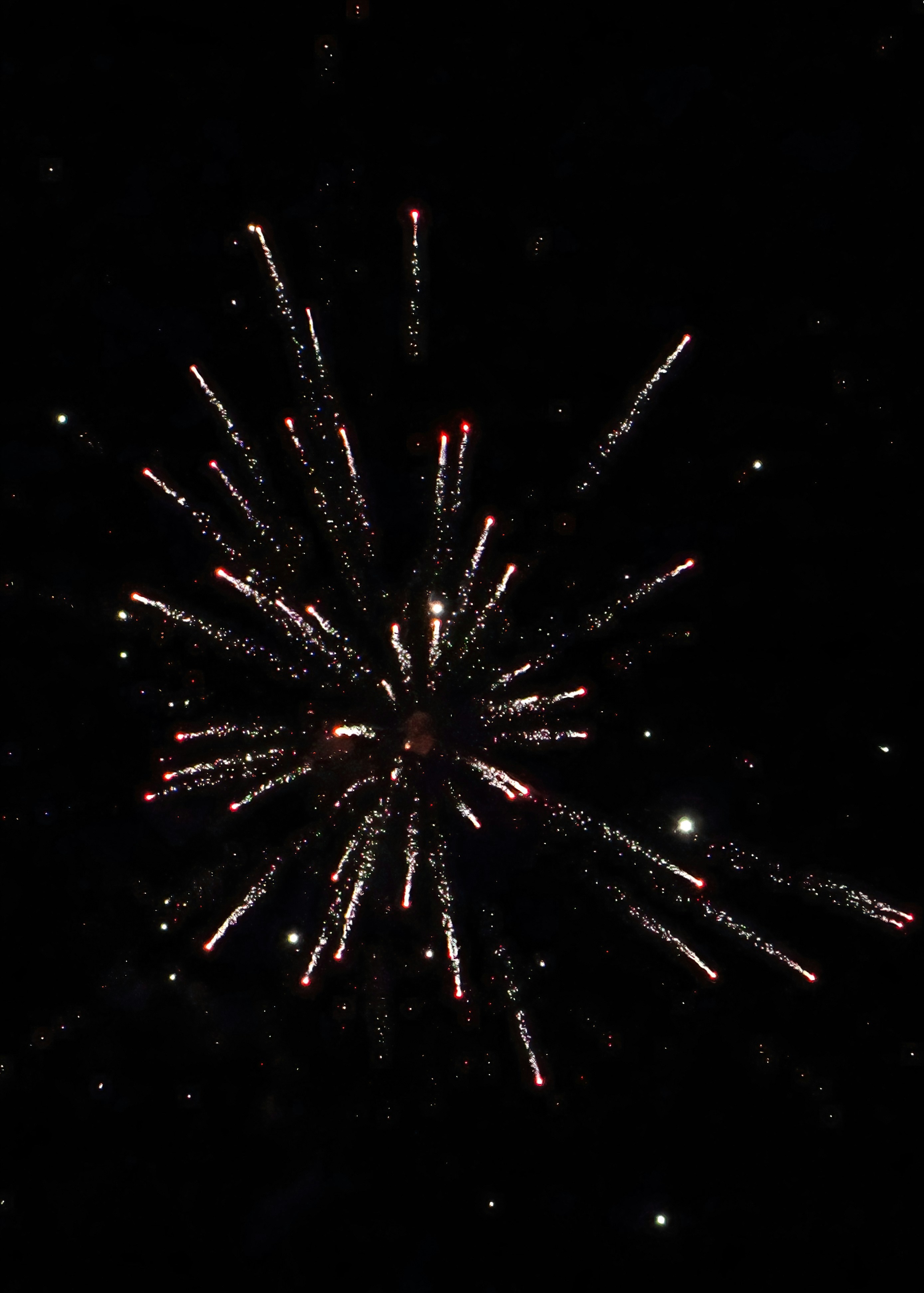 Midnight Burst: A Firework Bloom in Night Sky