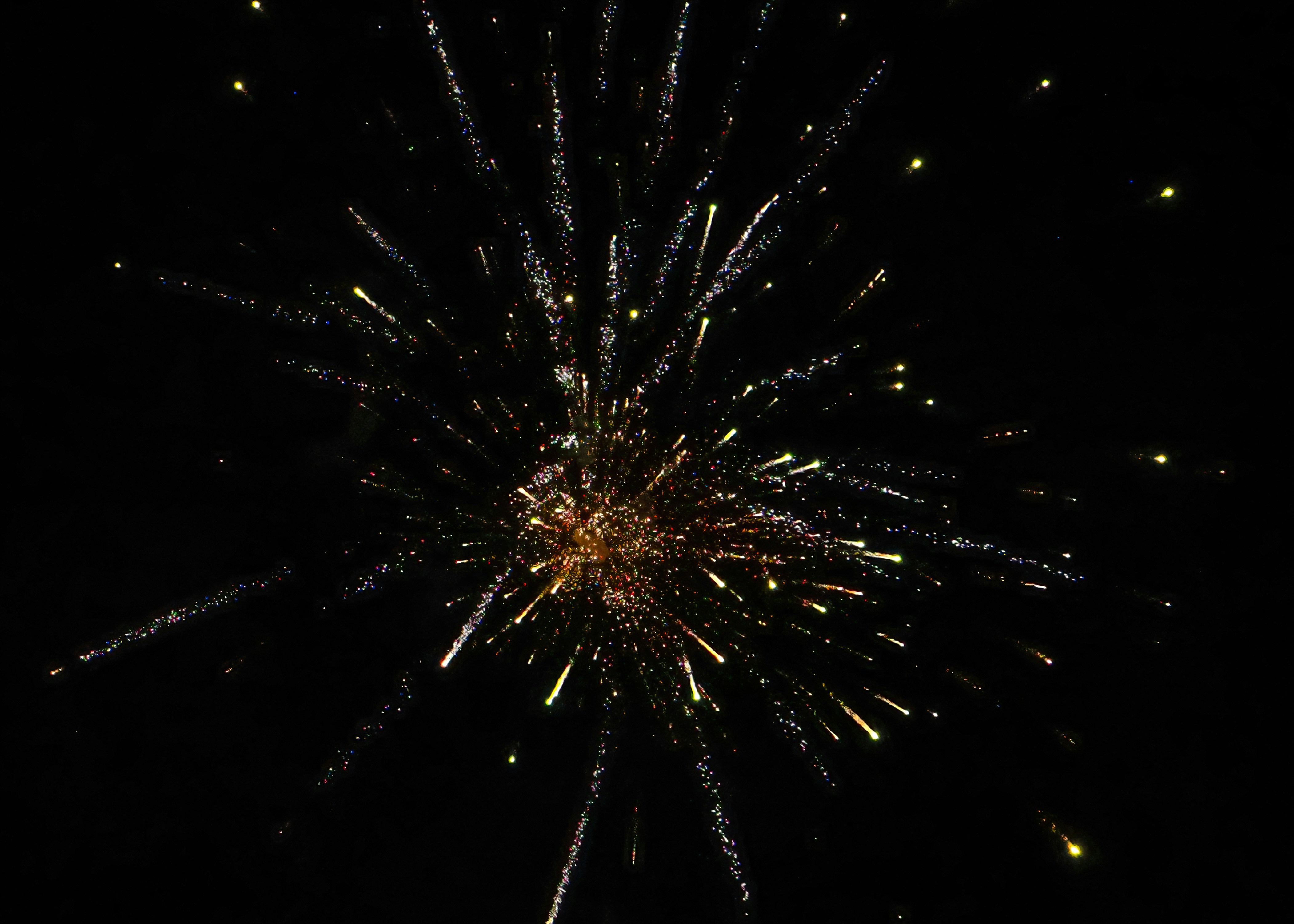 Silent Burst: Night Sky Blooming with Fireworks