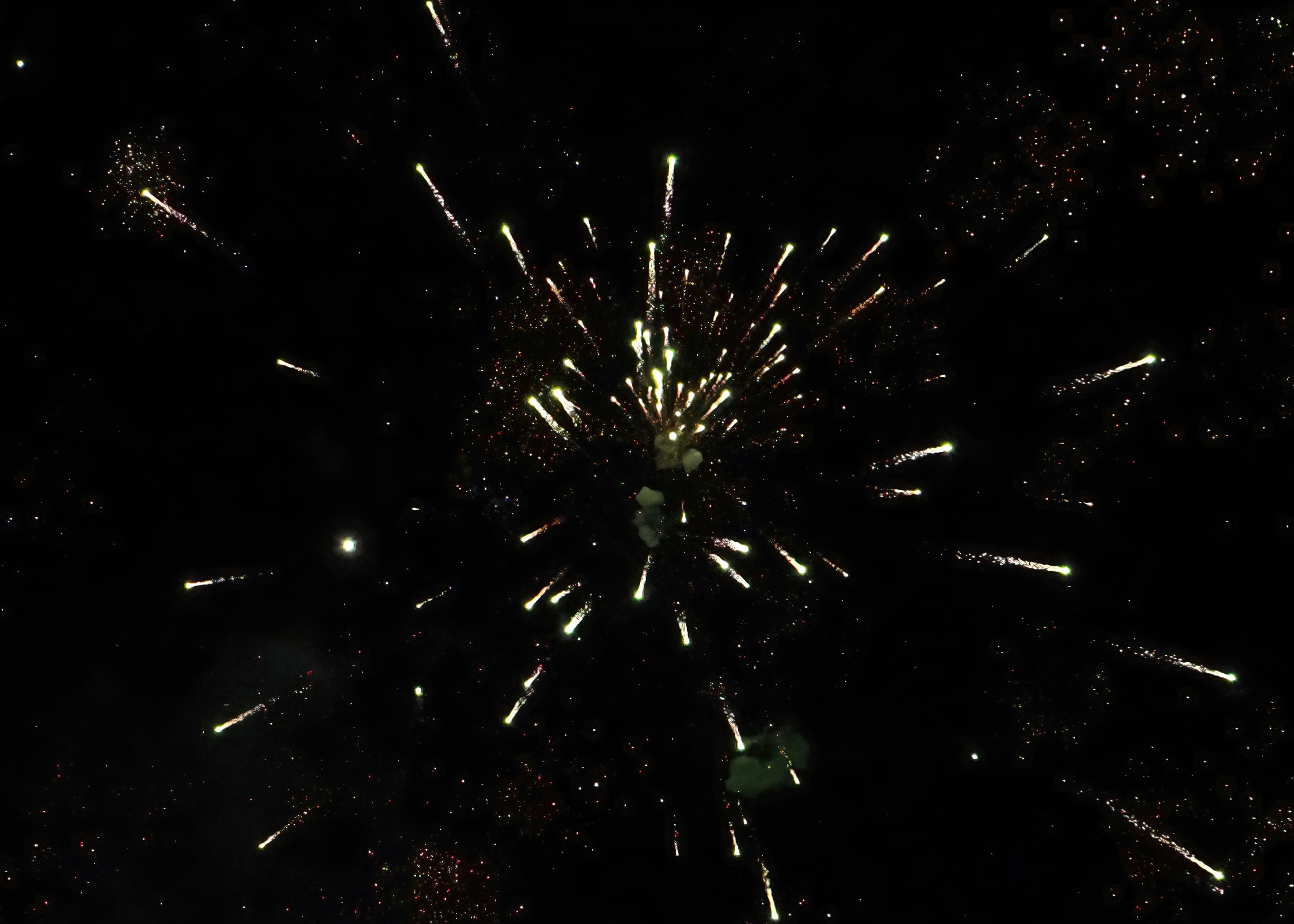 Night Burst: Fireworks Bloom Over a Dark Sky