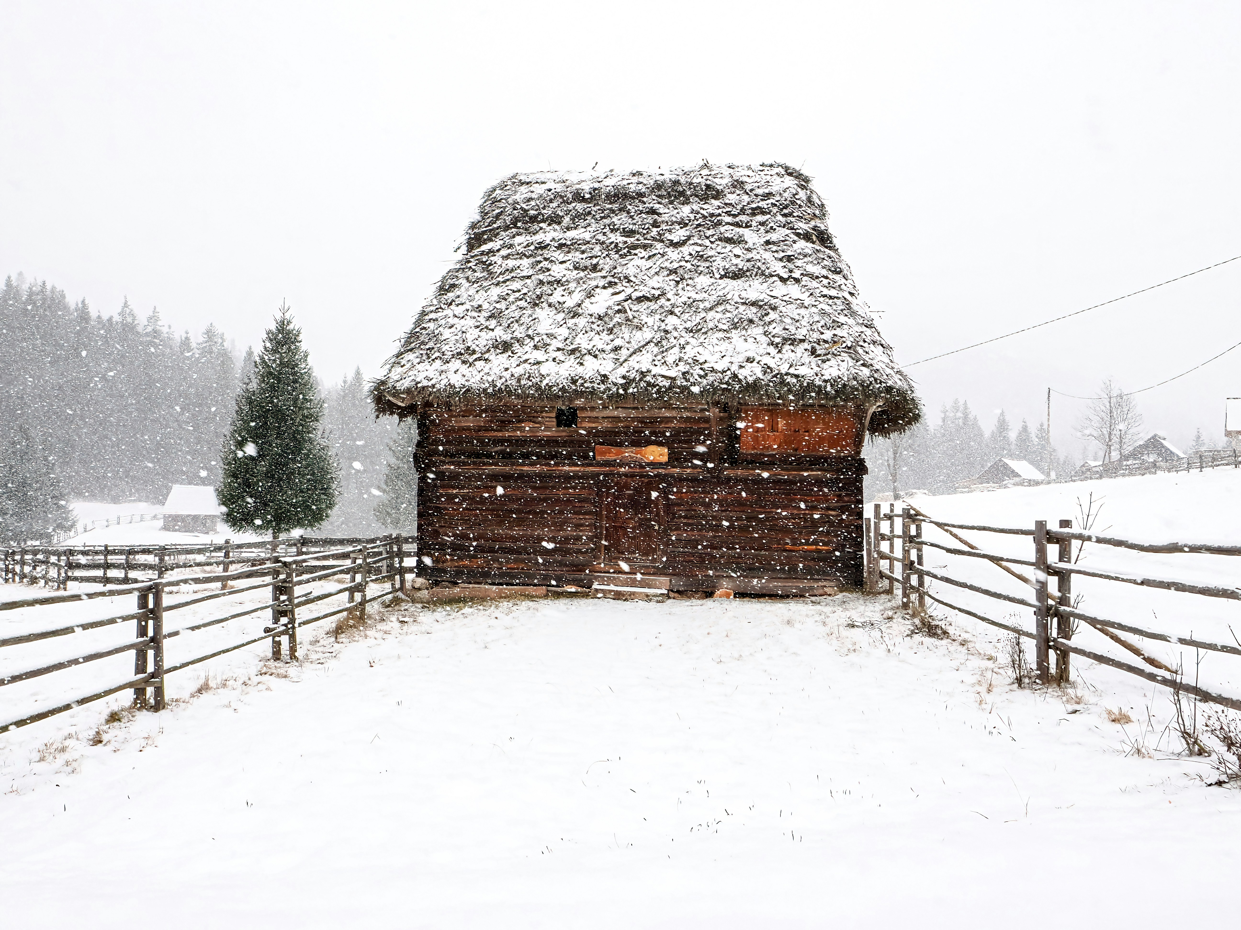Snowbound Cabin: Centered in a Quiet Winter Clearing