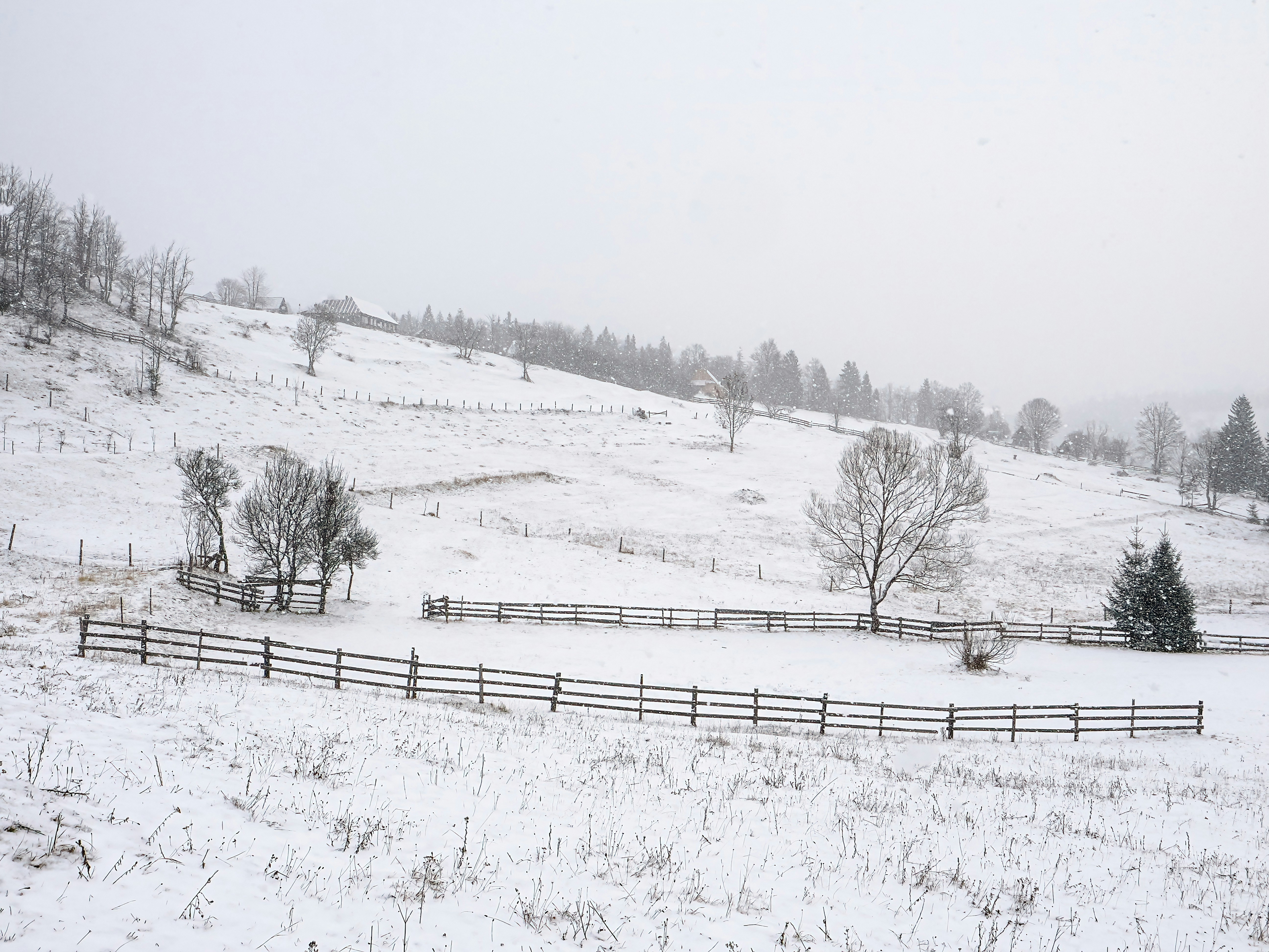 Snowy hillside fence lines under quiet winter sky