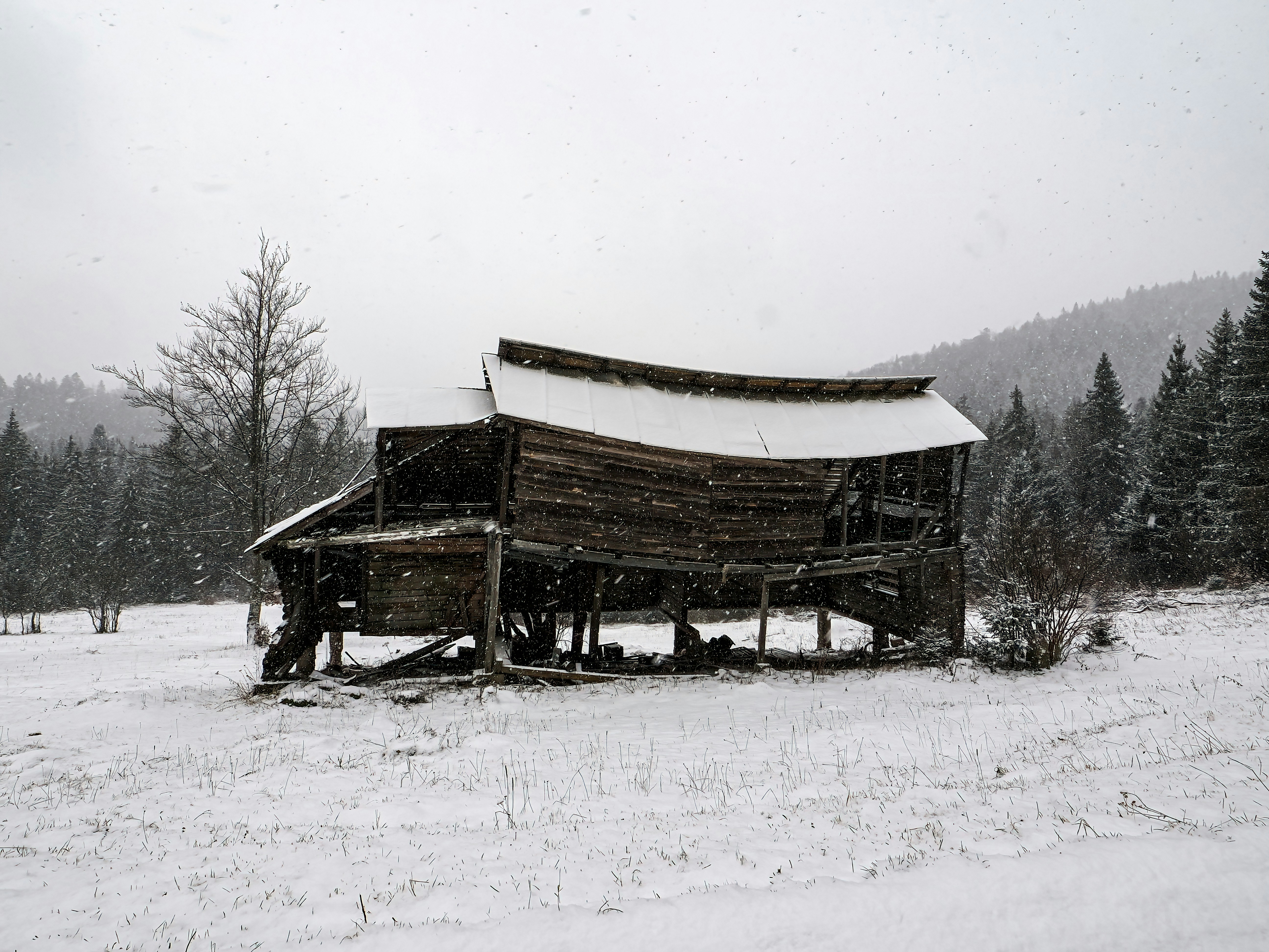 Weathered Shack in Snowfall: A Quiet Winter Relic