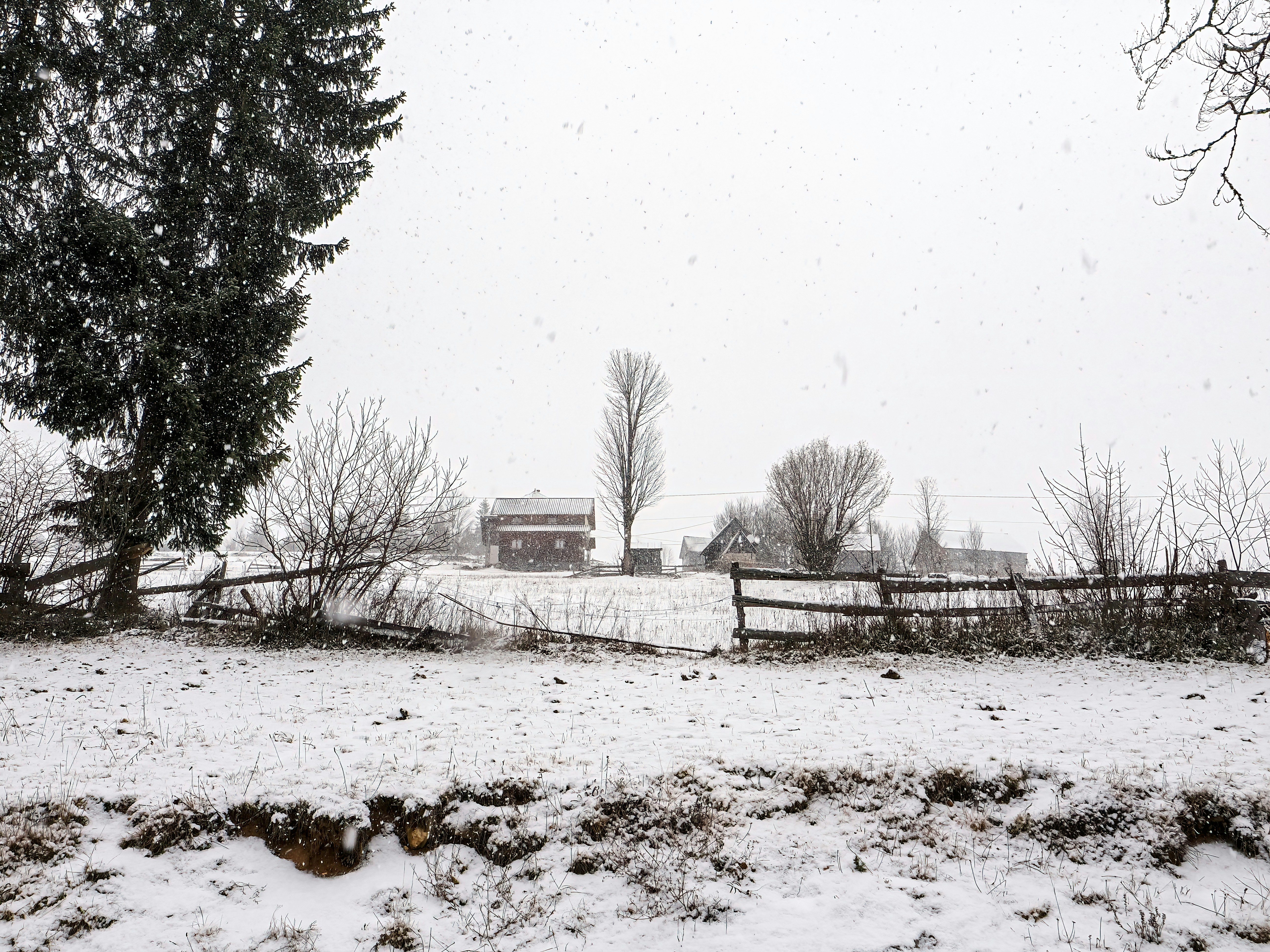 Snowy Horizon: A Quiet Farmstead Beneath Falling Snow