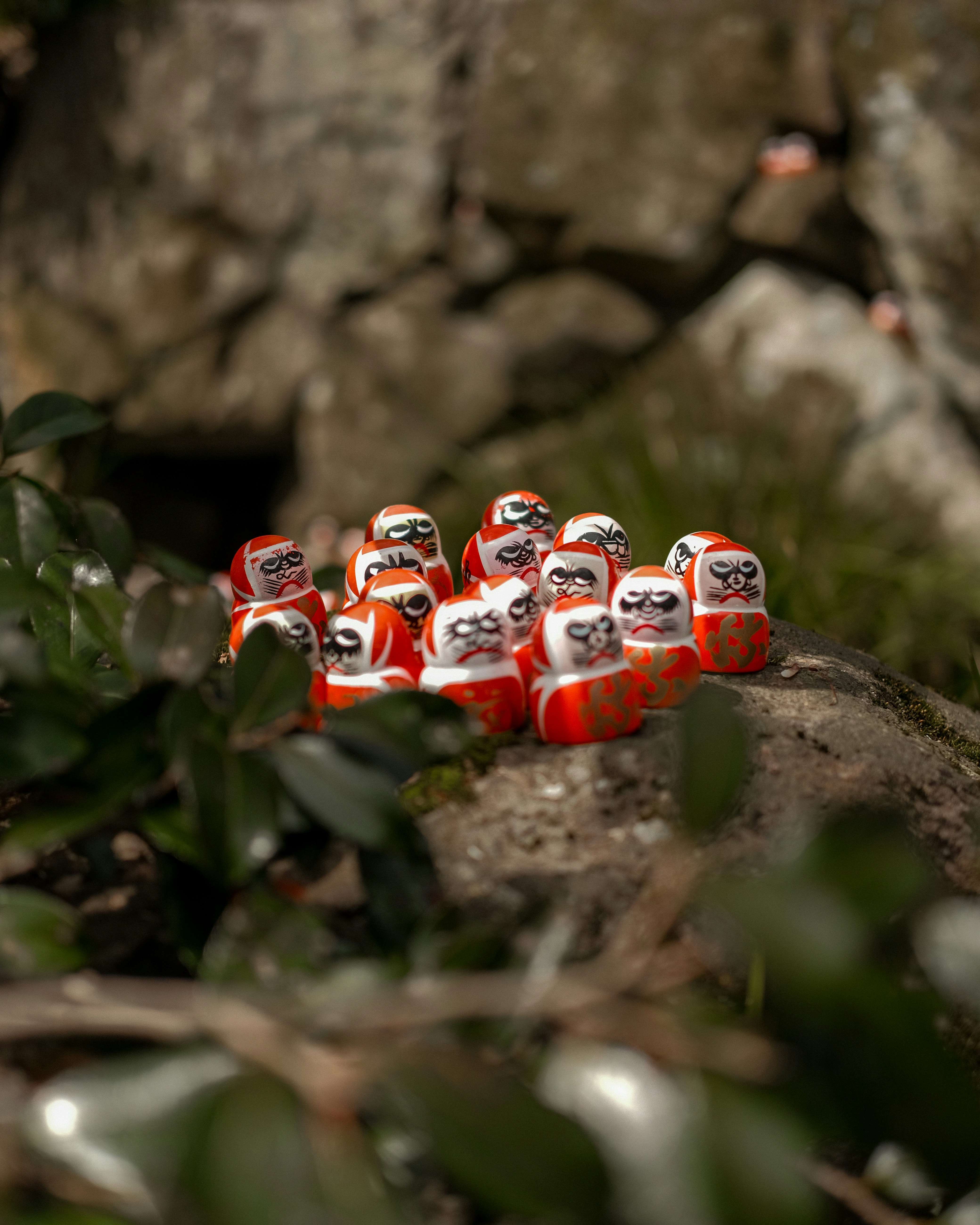  Scarlet Daruma Ridge: A Clump of Tiny Faces on a Mossy Stone