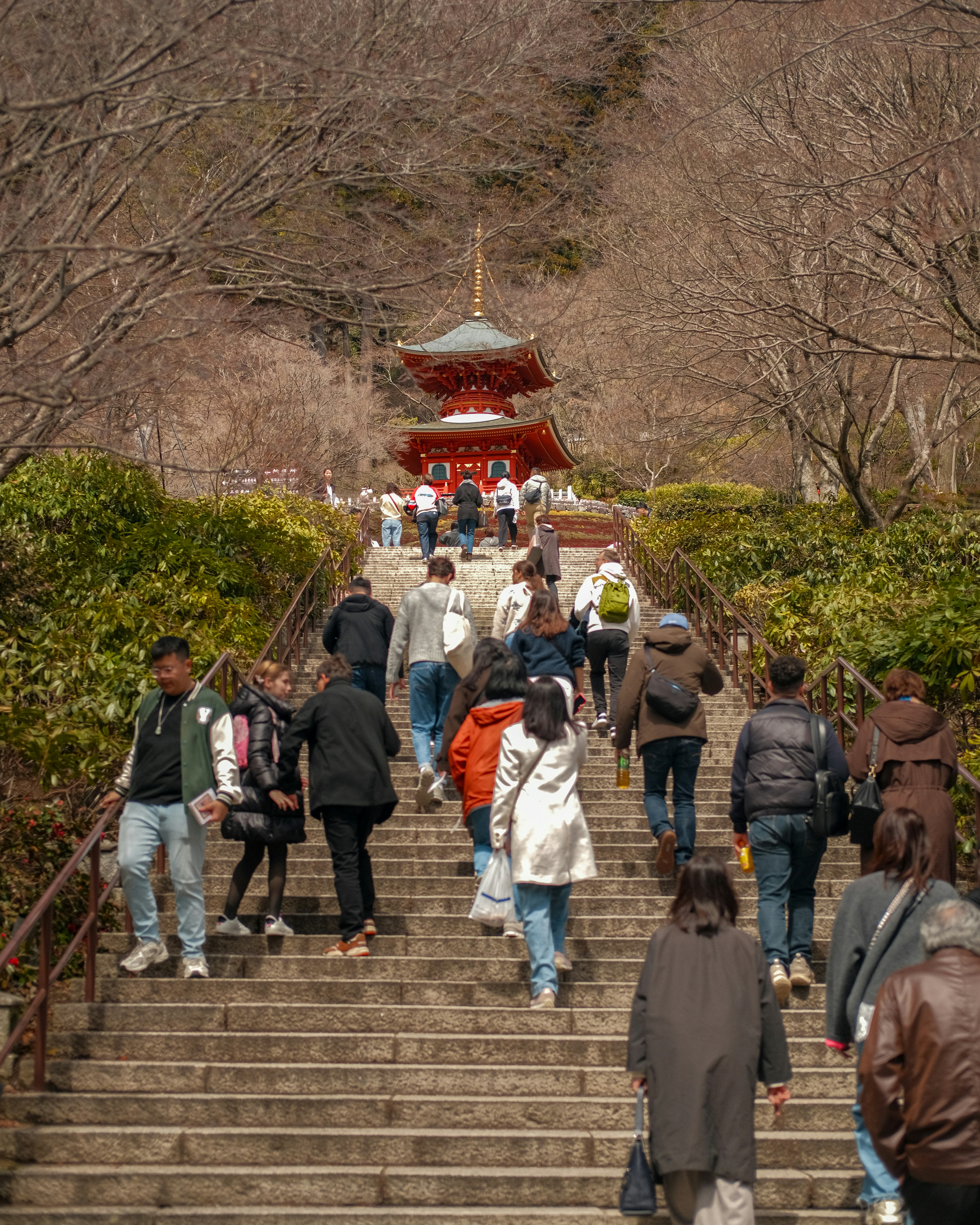 Steps Toward the Pagoda: A Crowd Climb in a Spring Temple Approach
