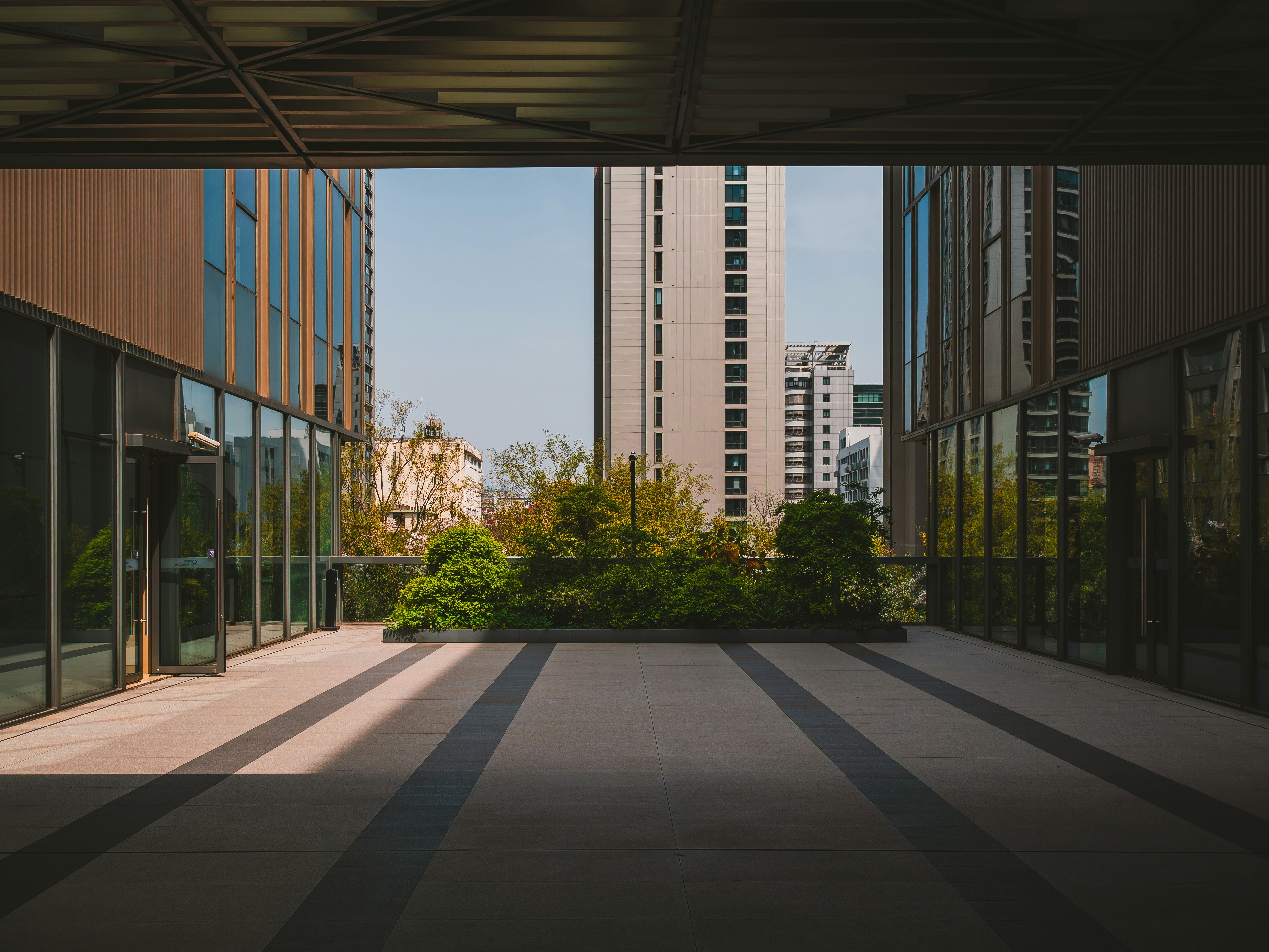 Symmetric Courtyard Framing Under Urban Canopy