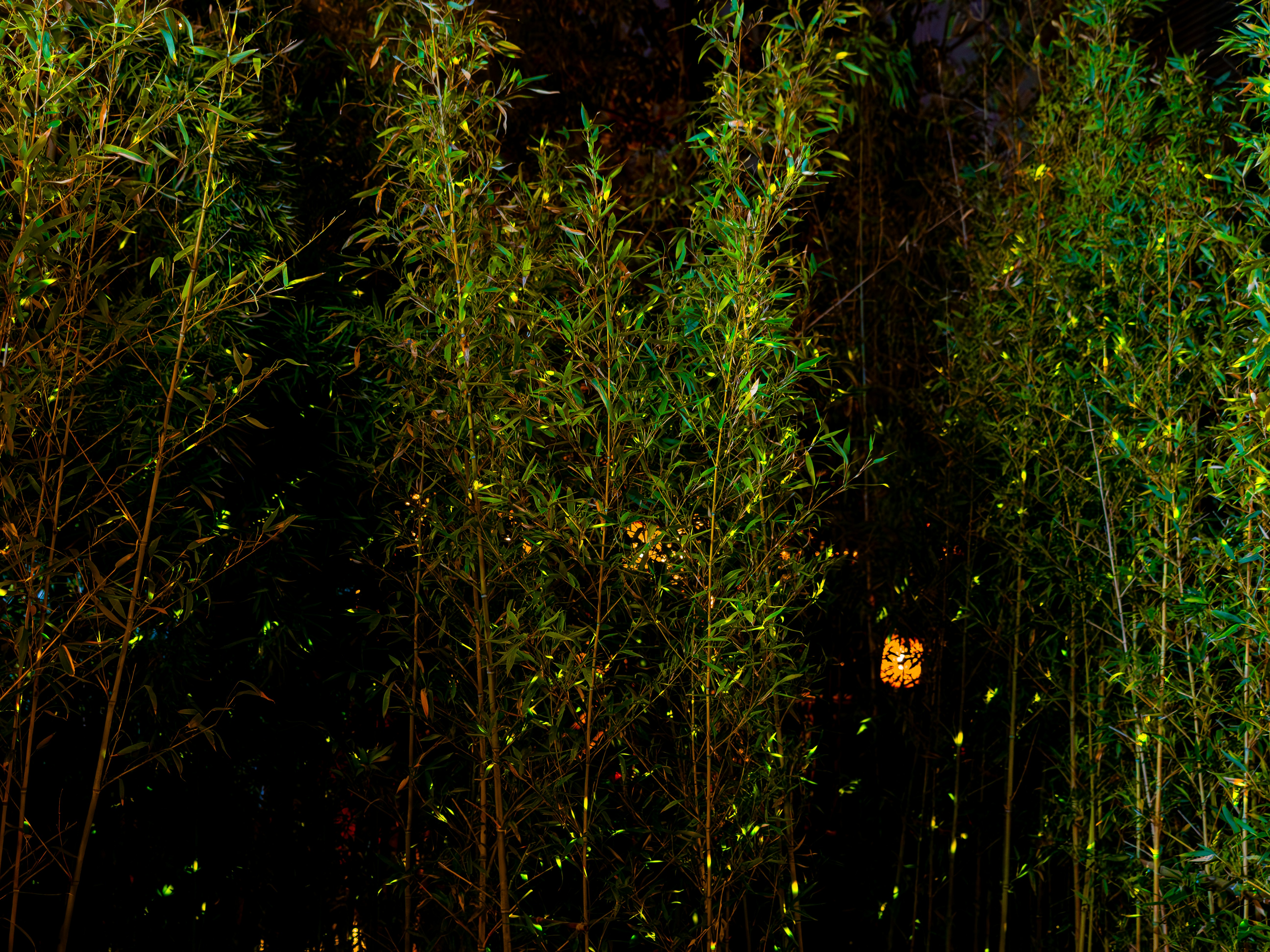 Emerald Thicket at Dusk