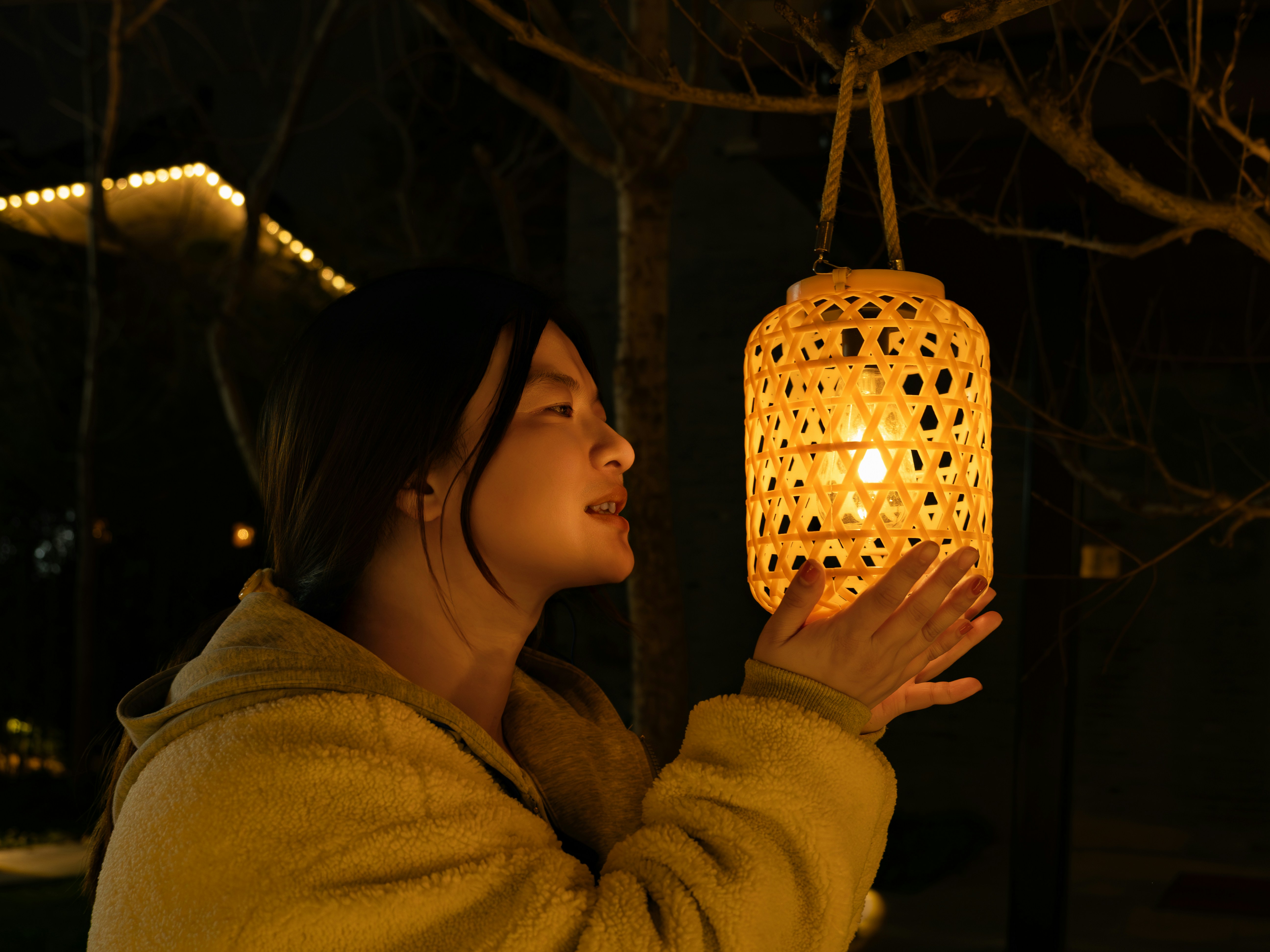Lantern Light, Quiet Smile