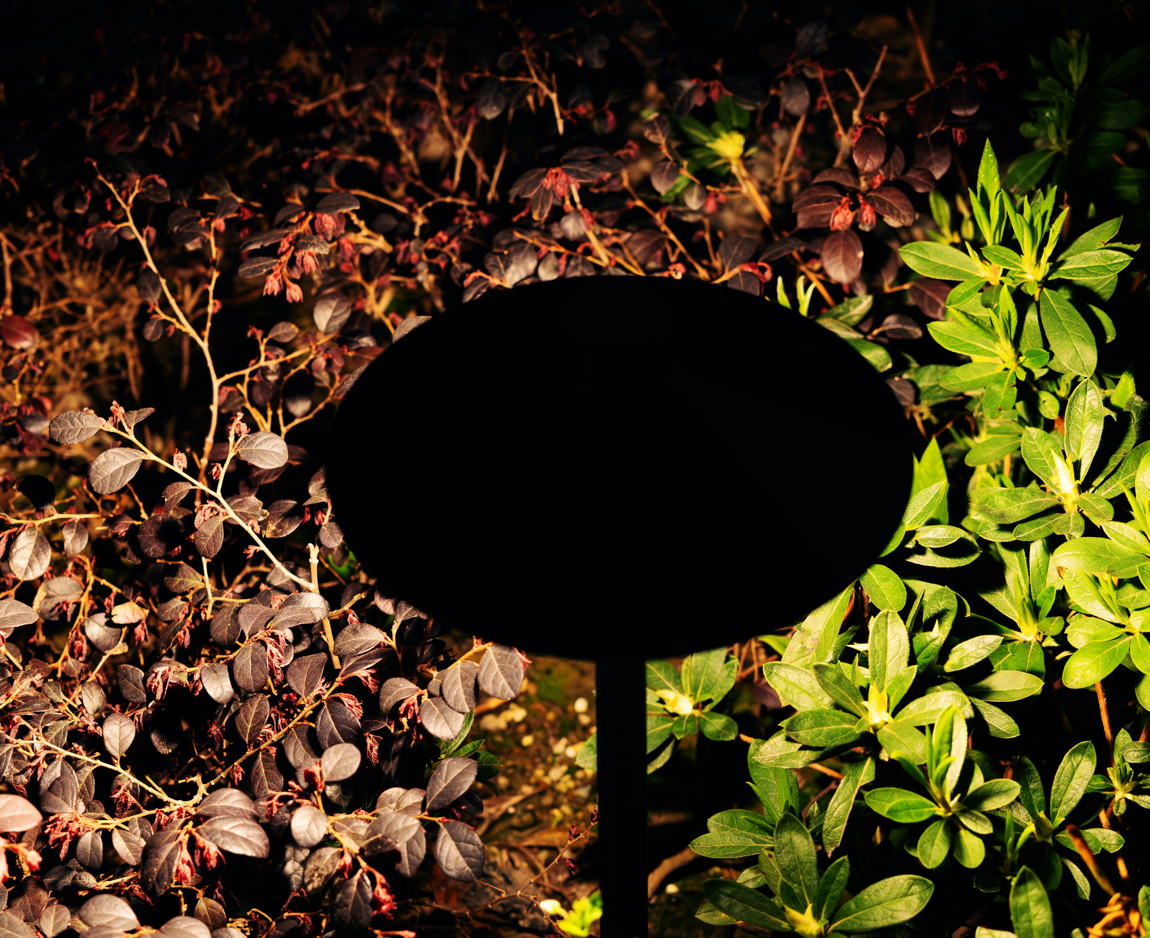 Shadowed Lantern in a Garden Corridor