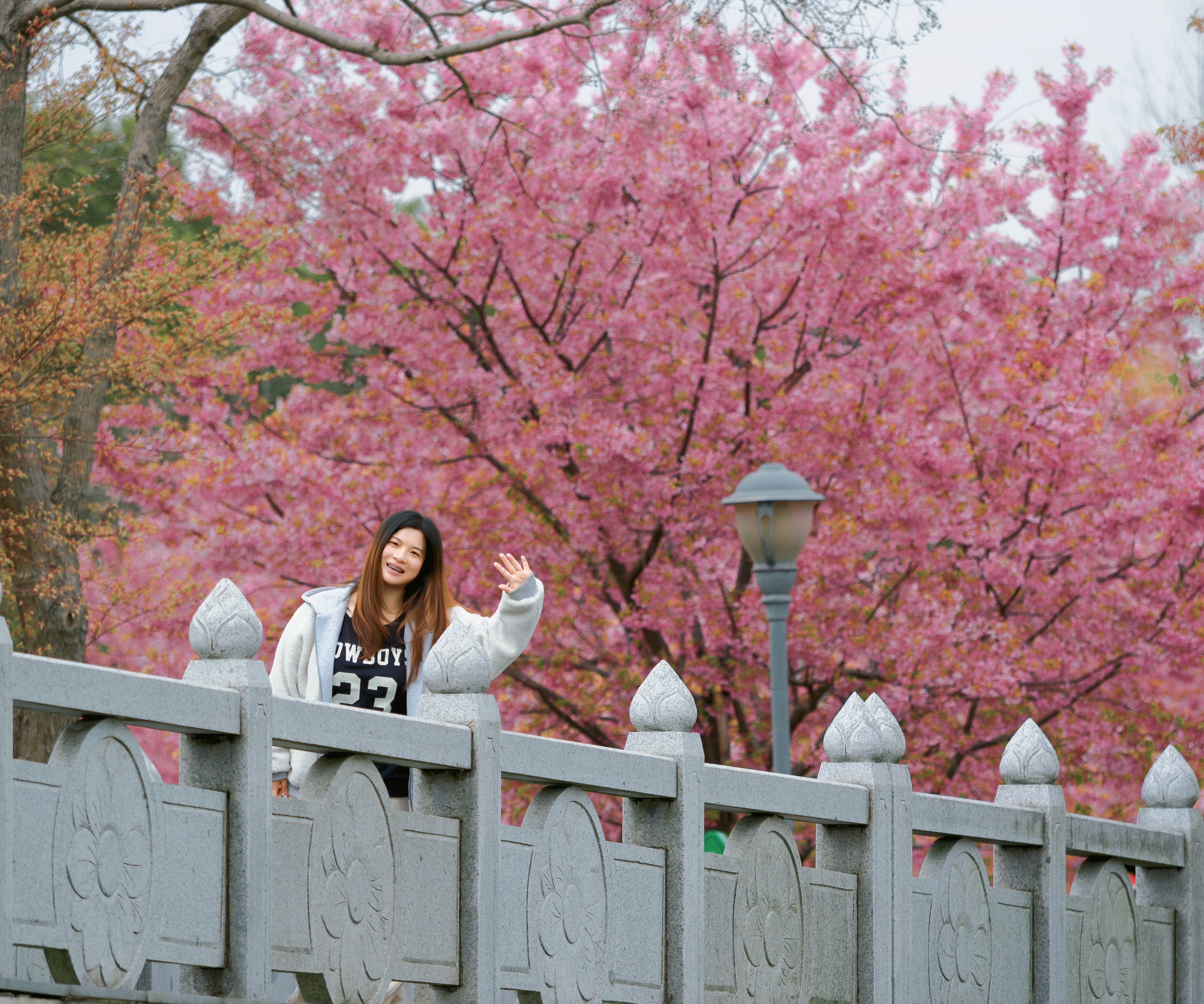 Girl on the Lanterned Bridge Amid Blushing Trees