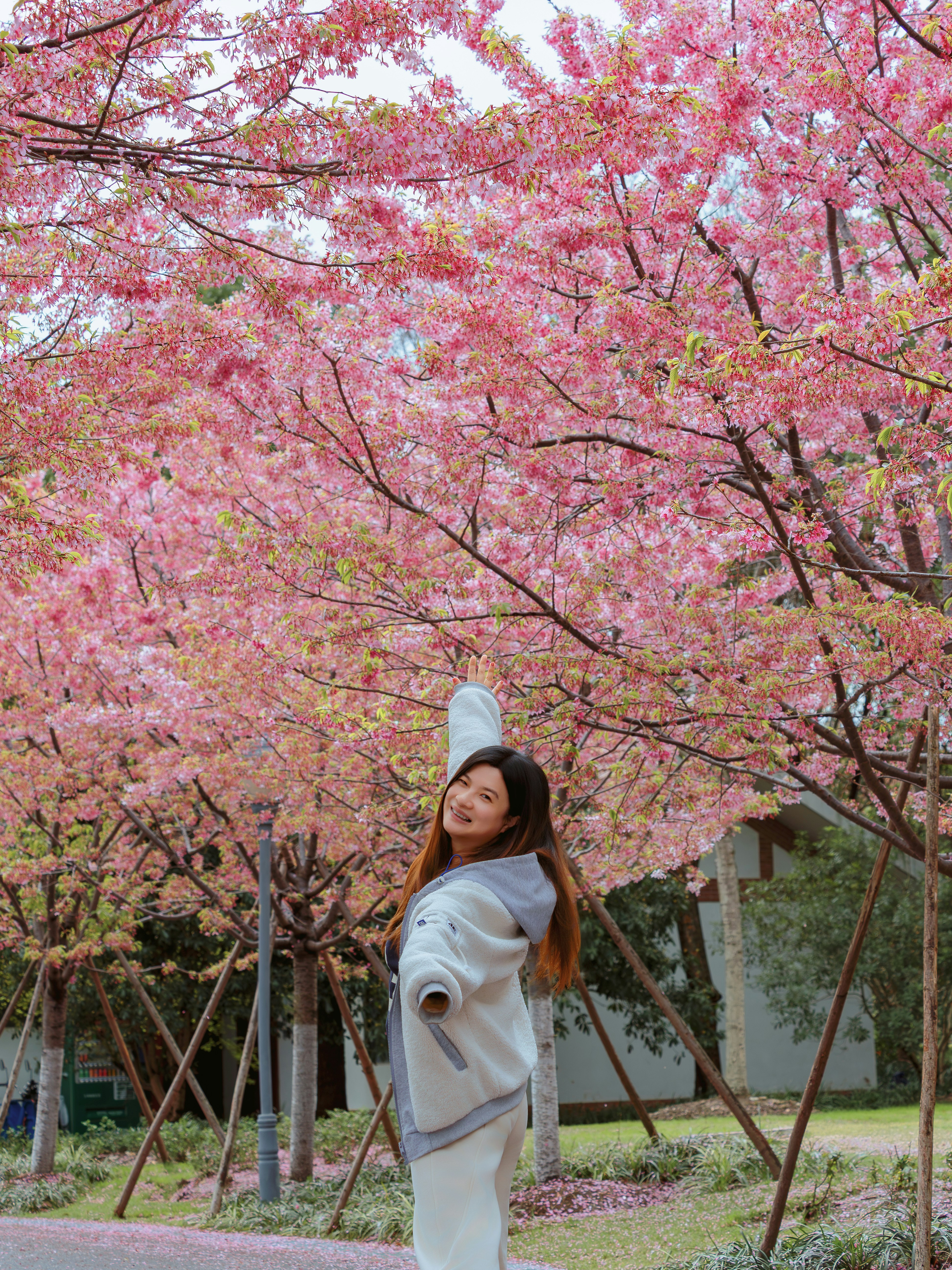 Cherry Blossom Cascade with a Grinning Pose