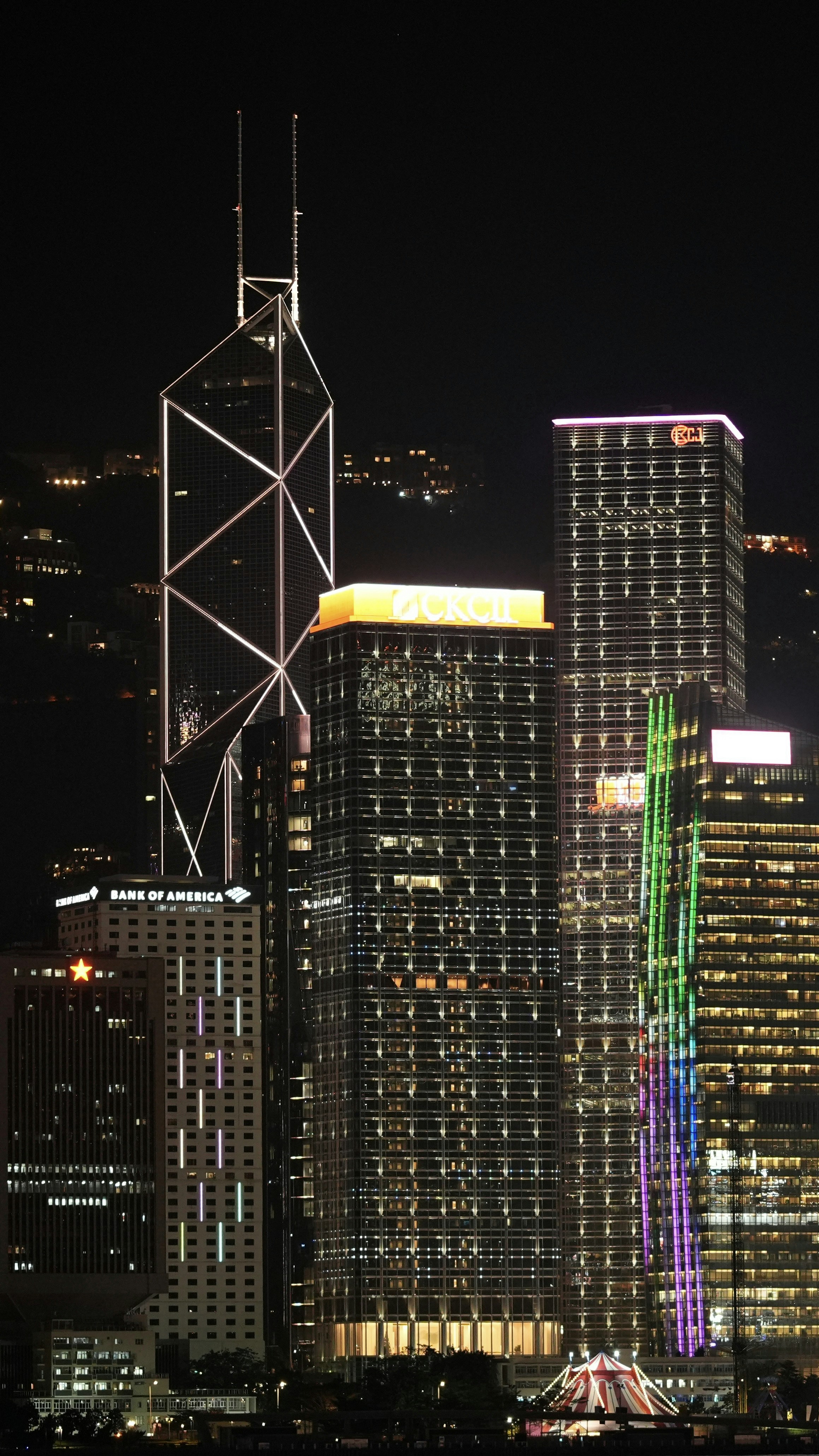 Neon Skyline: A Night Bloom Over the City