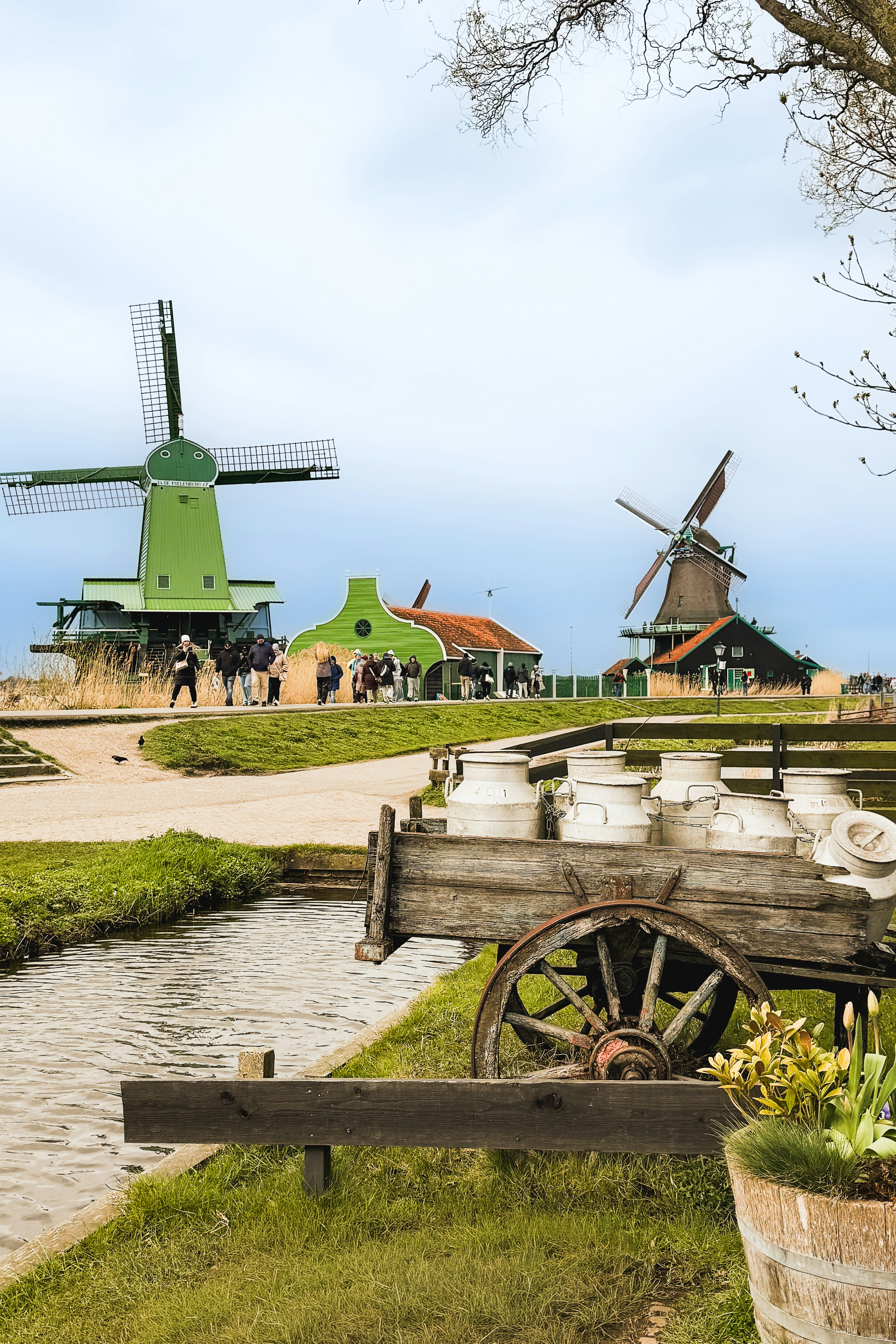 Green Windmills on the Field: A Dutch Village Scene