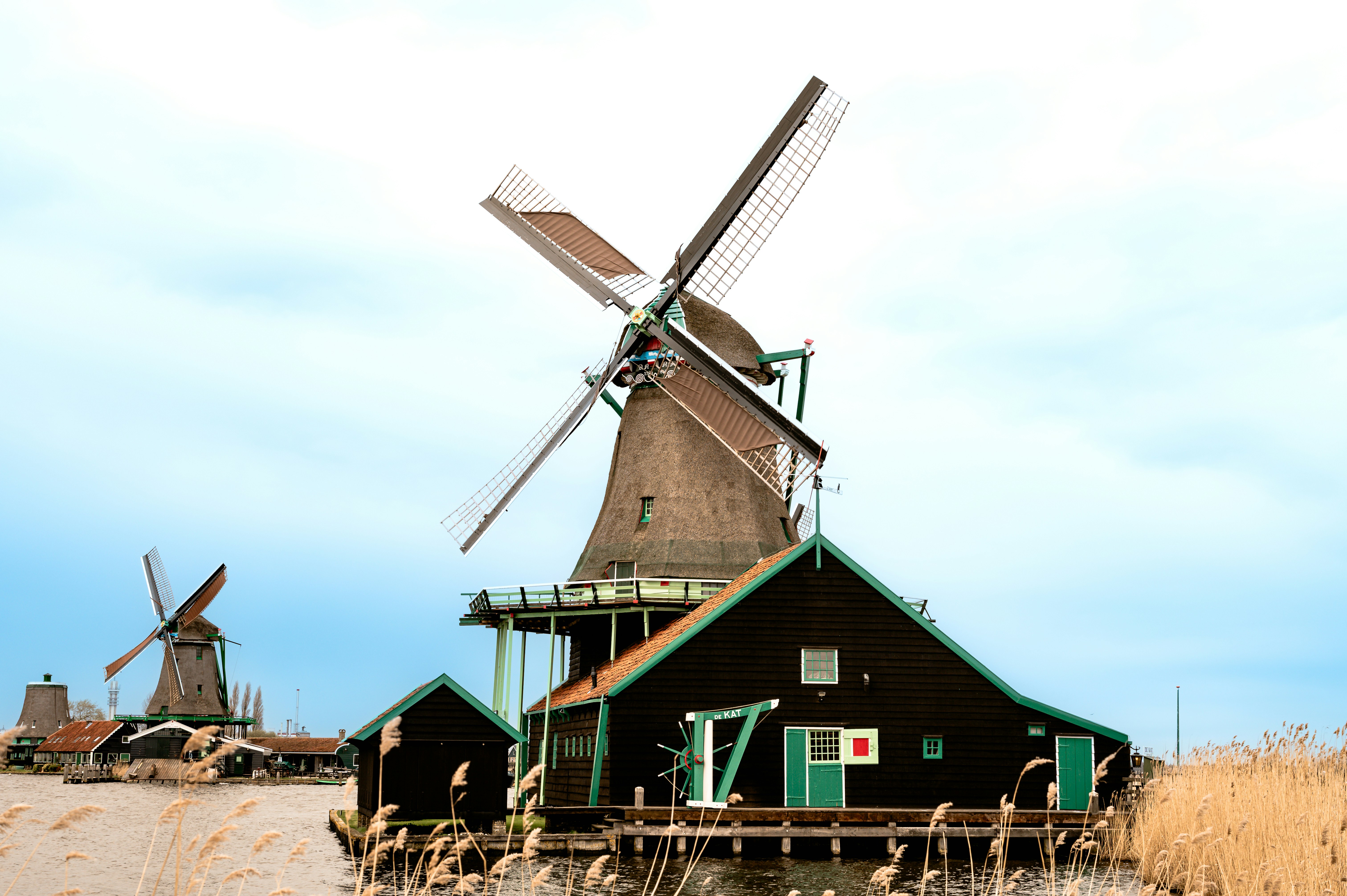 Windmill Meadow: A Quiet Row of Dutch-Style Mills Under Overcast Skies